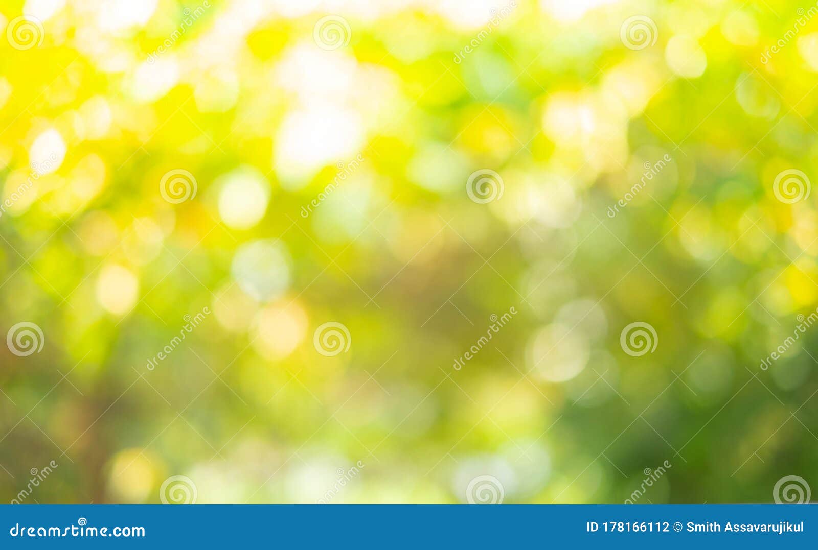 Green Tree Bokeh in the Background for Wallpaper Stock Photo - Image of ...