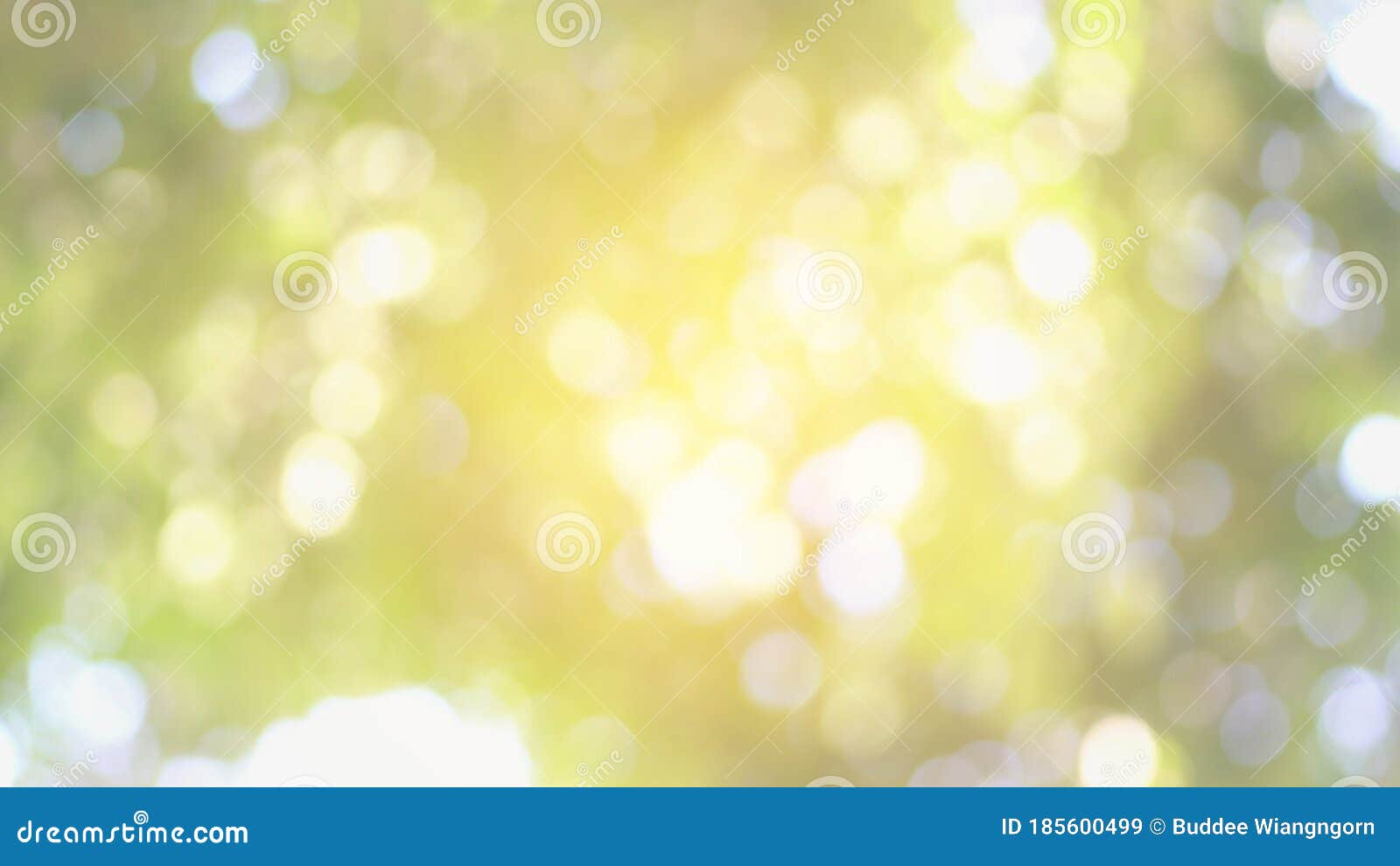 Green Tree Bokeh Background, Wallpaper and Background Concept. Stock ...