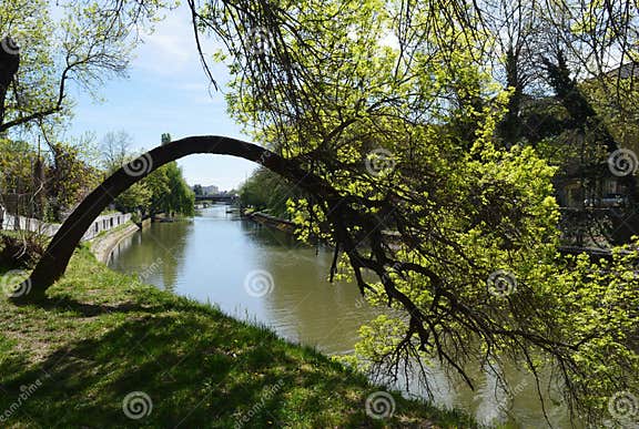 Green Tree Branch Over the River Stock Image - Image of pond, waterway ...