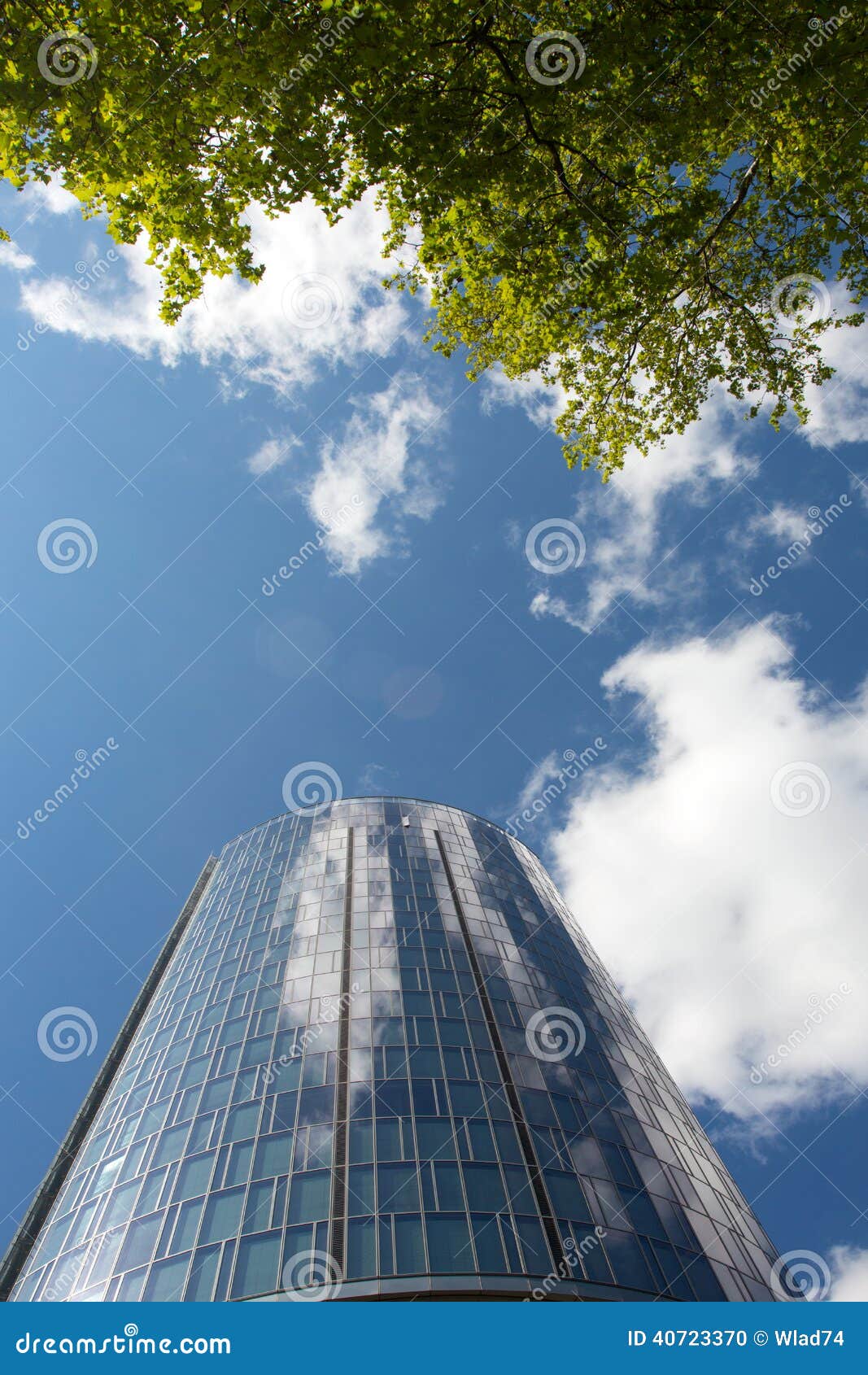 Green Tree Branches Against a Skyscraper and Sky Stock Photo - Image of ...