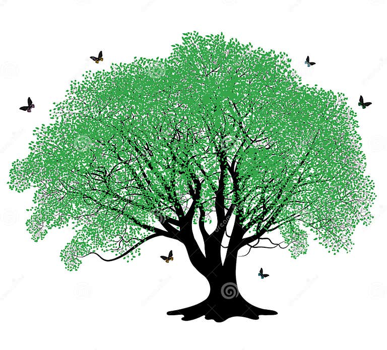 Green Tree with Butterflies Stock Vector - Illustration of isolated ...
