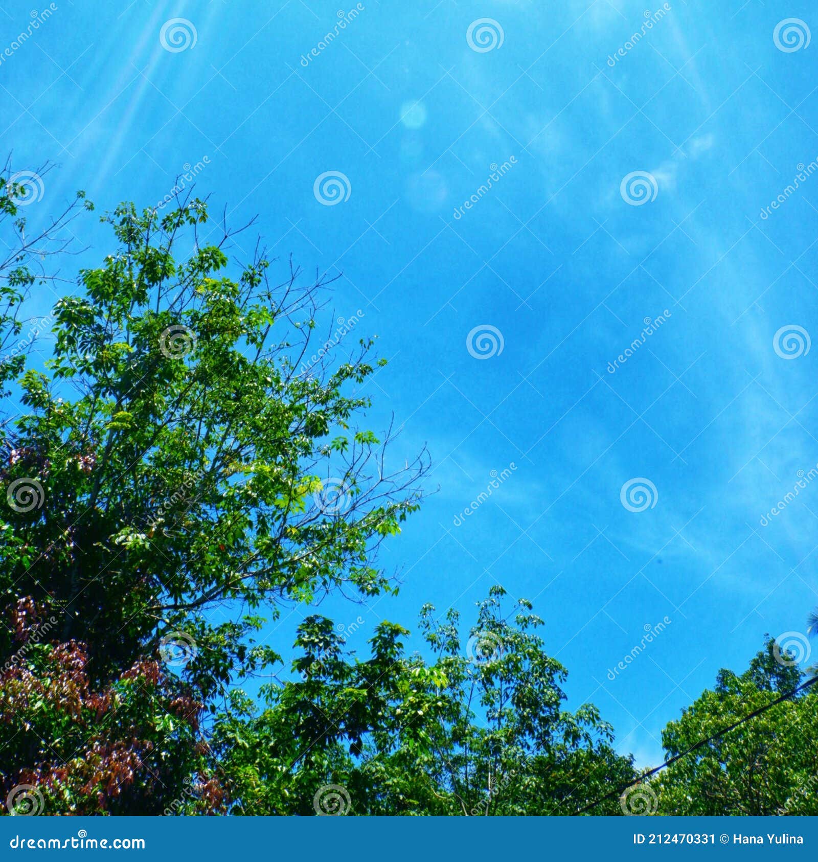 Green tree with clear sky stock image. Image of clear - 212470331