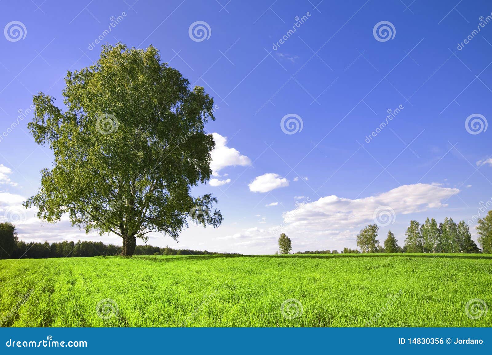 Green tree and cloudy sky stock photo. Image of farm - 14830356