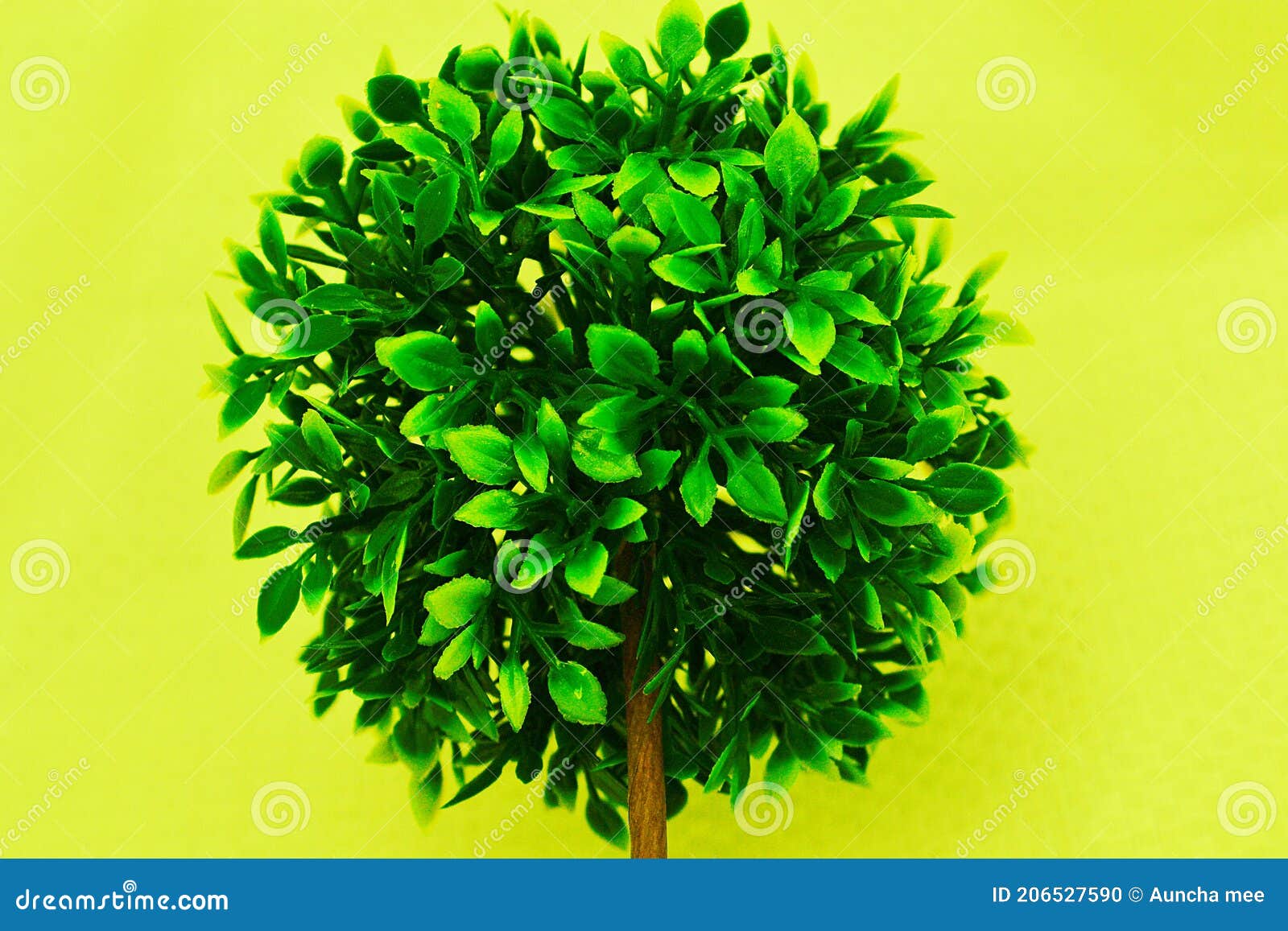 Green Tree on Colored Background - Image Stock Photo - Image of garden ...