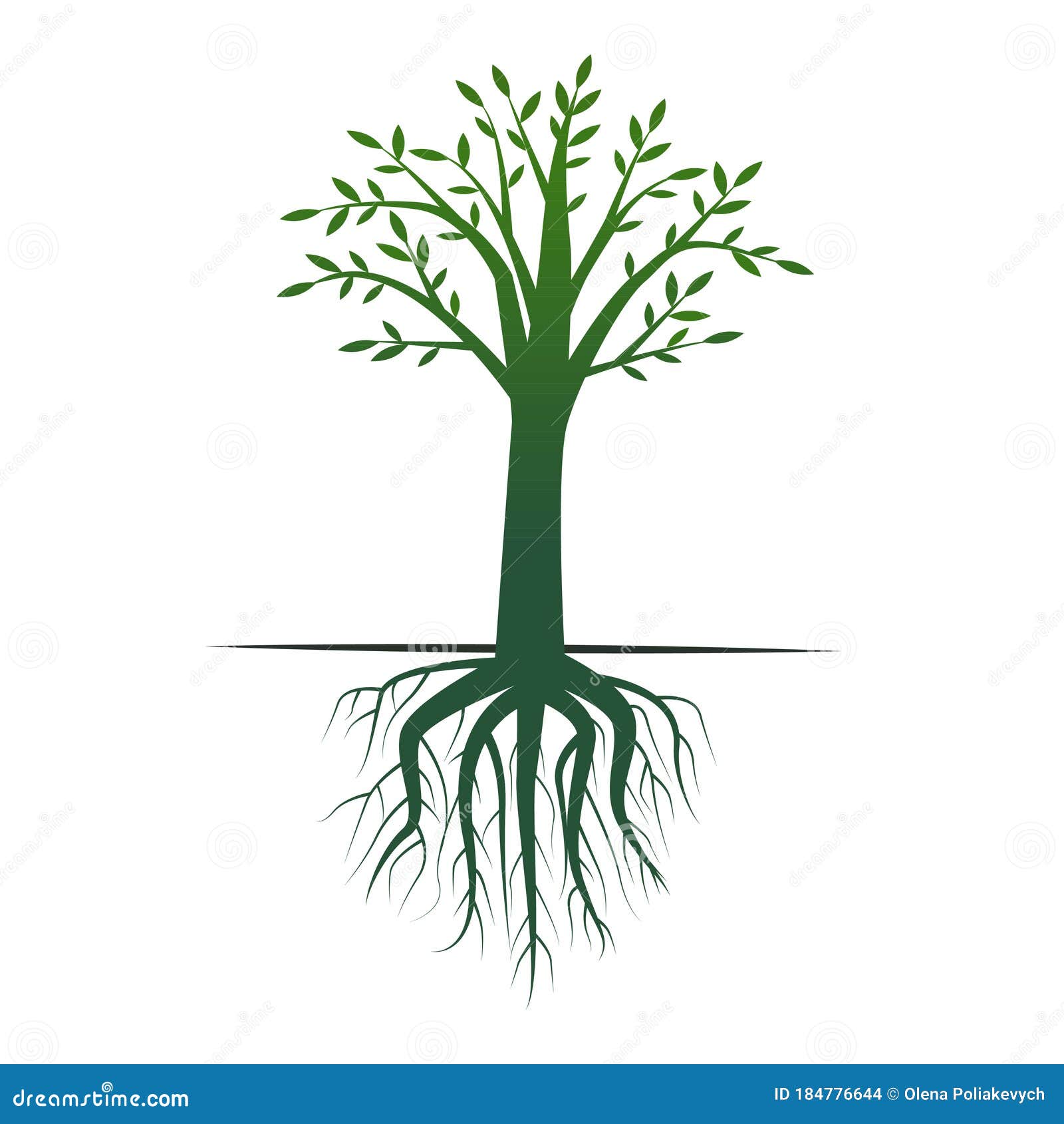 Green Tree with Crown and Root Stock Illustration - Illustration of ...