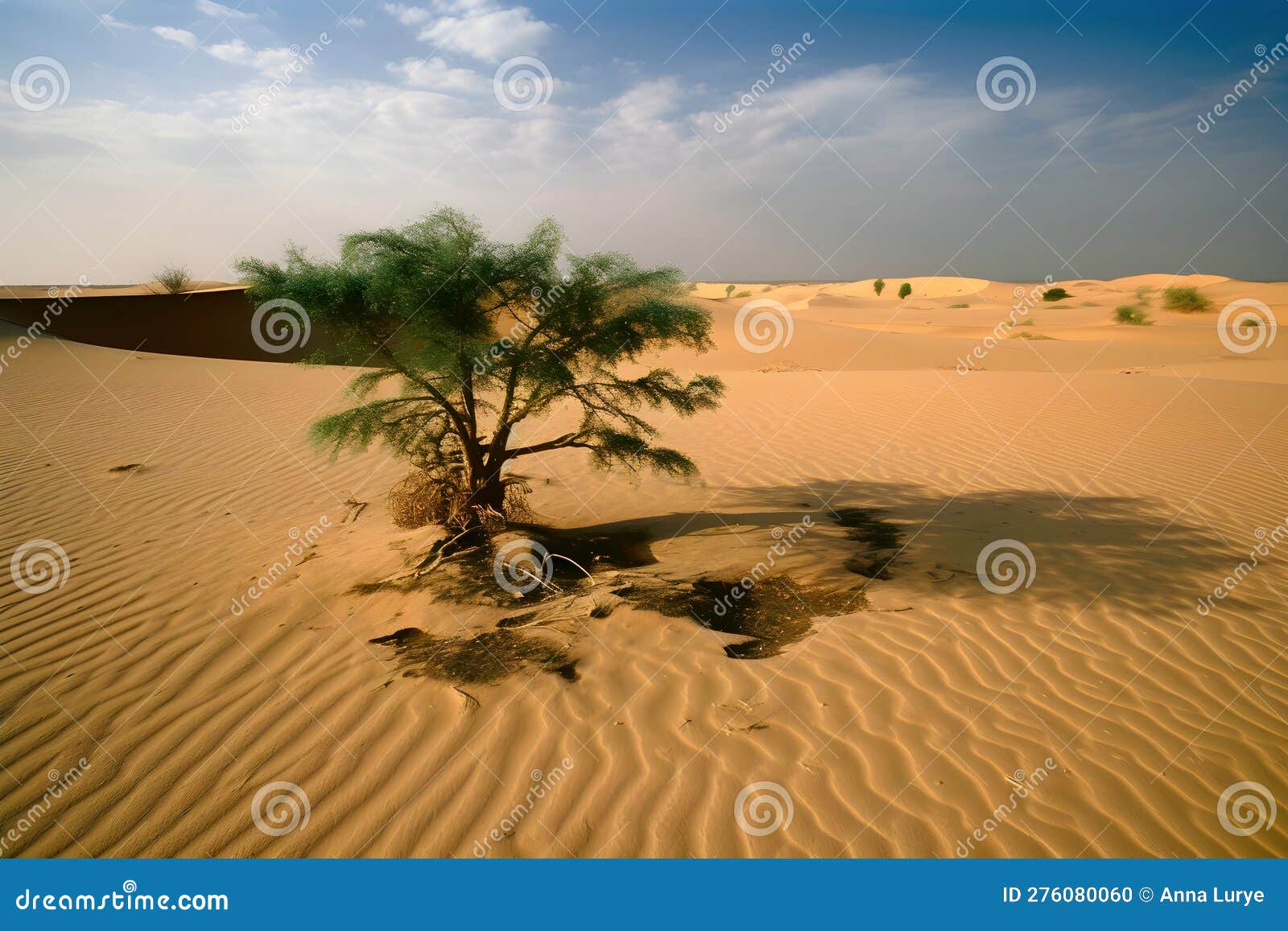 Desertification Process Shaw Cloud