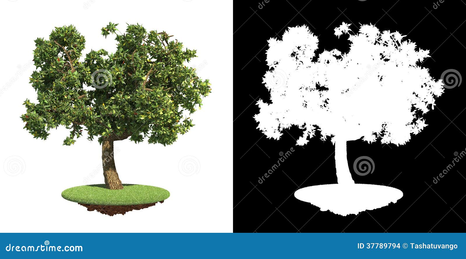 Green Tree with Detail Raster Mask. Stock Illustration - Illustration ...