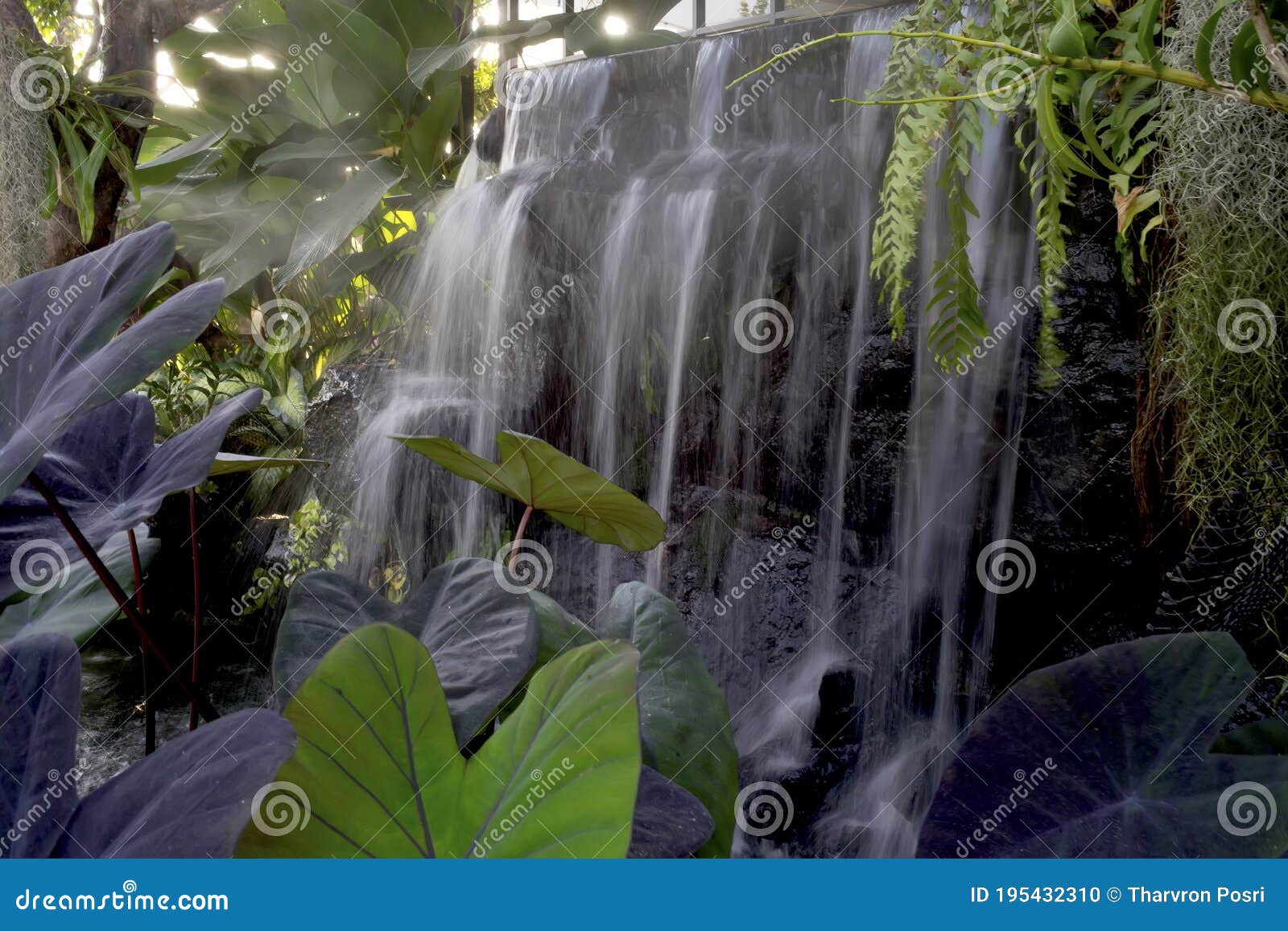 Green Tree,flower,waterfall in the Garden Stock Photo - Image of nature ...