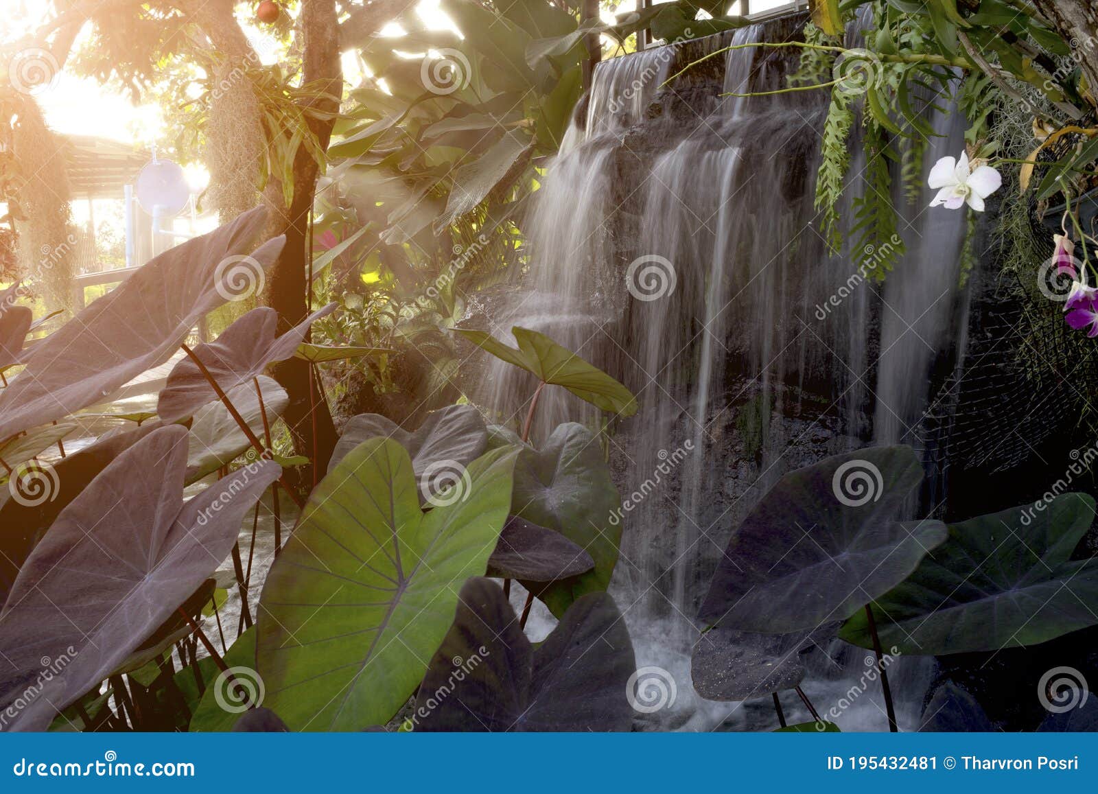 Green Tree,flower,waterfall in the Garden Stock Image - Image of travel ...