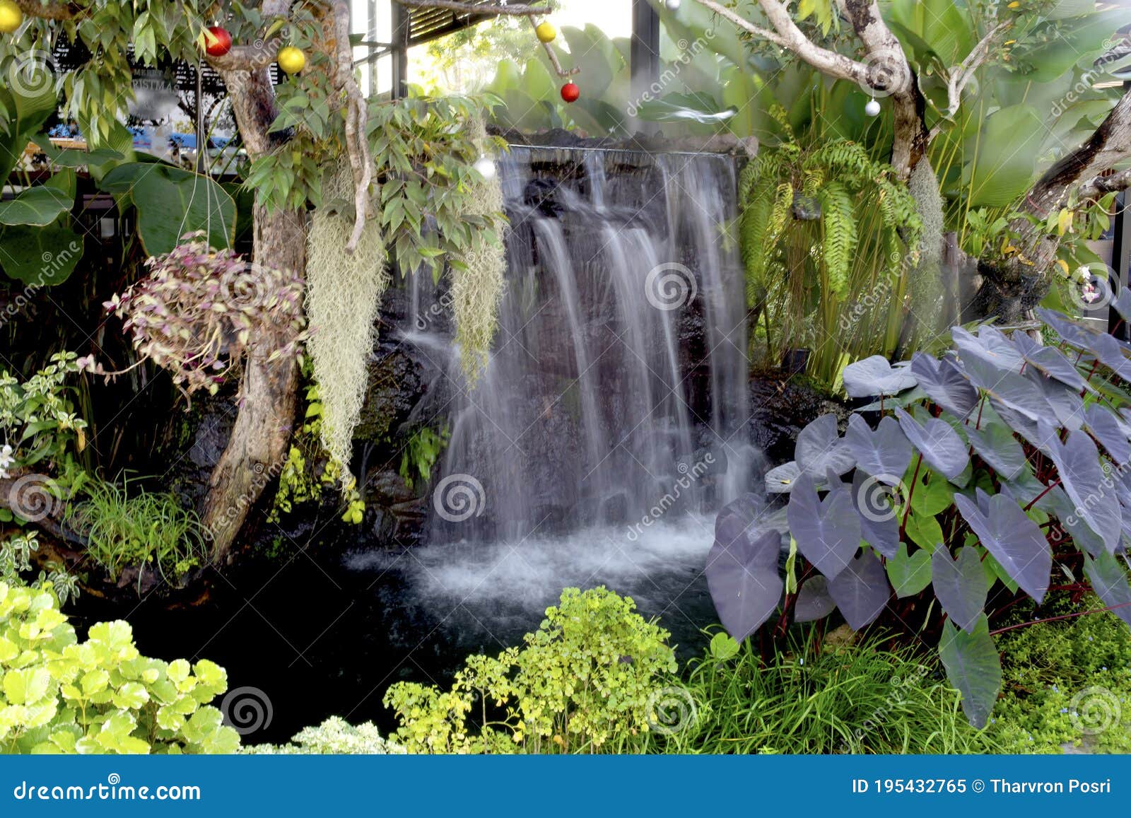 Green Tree,flower,waterfall in the Garden Stock Image - Image of rock ...