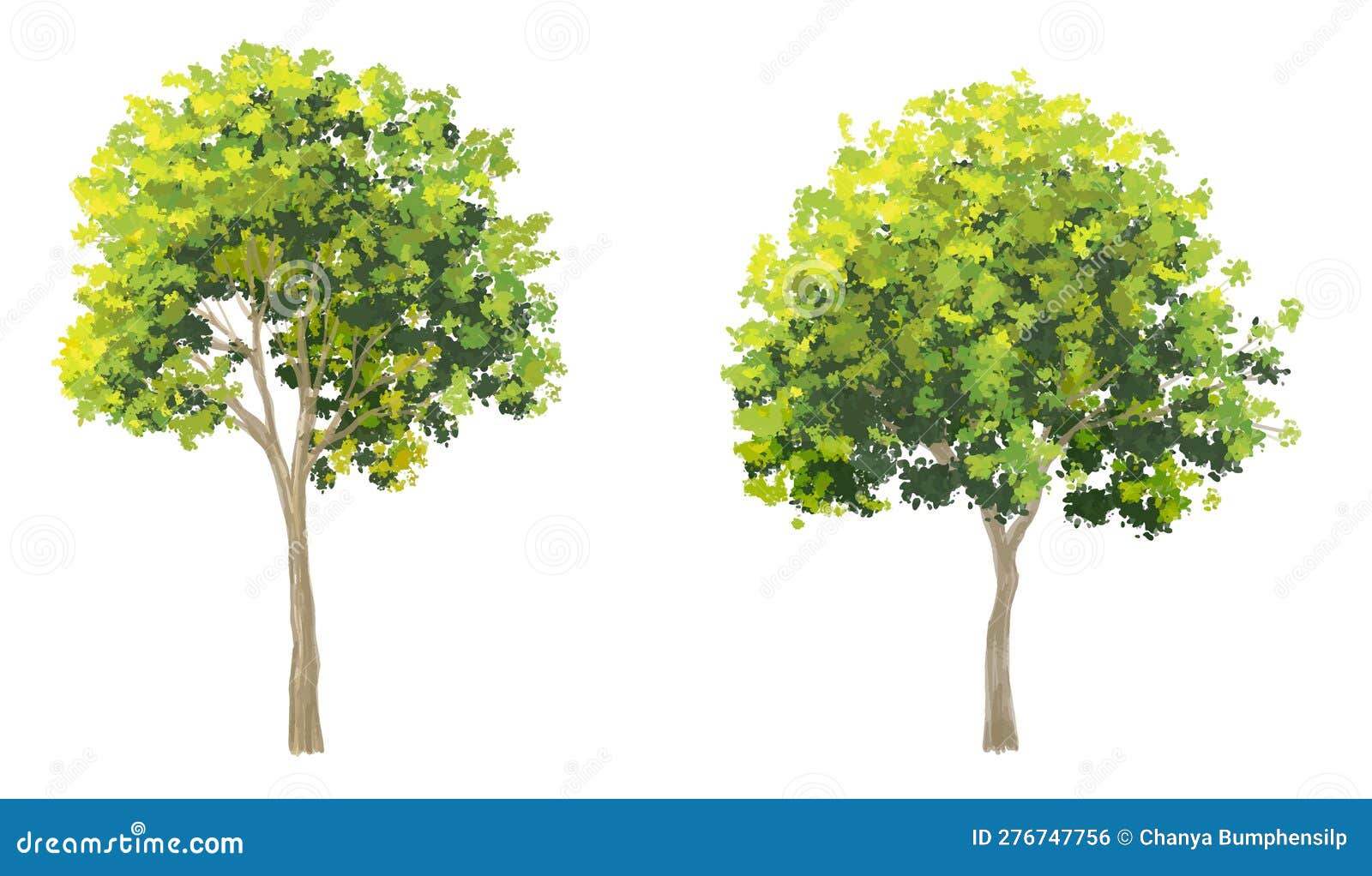 Green Tree ,forest with Grass Elevation for Landscape Scene Stock ...