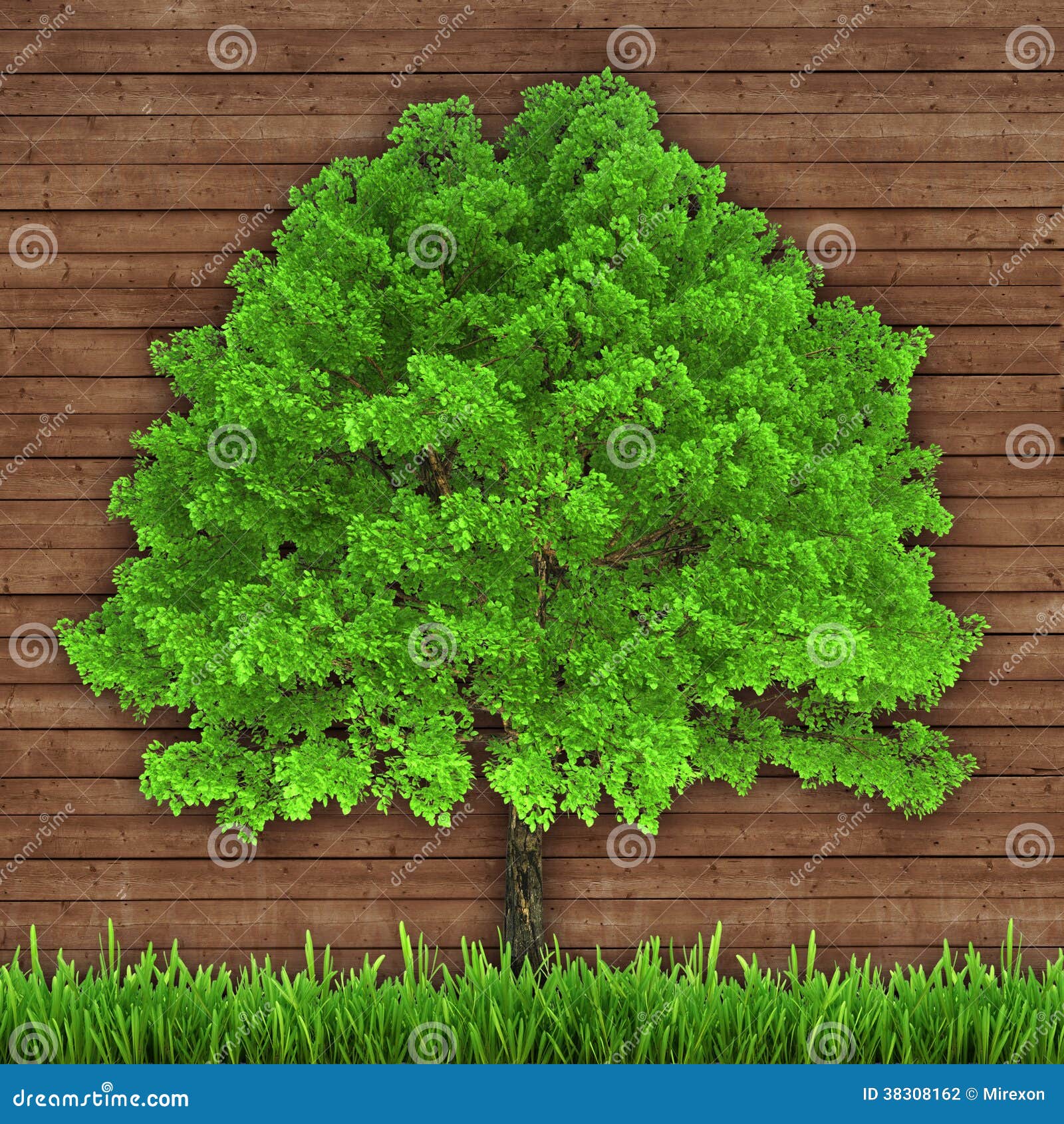 Green Tree and Fresh Grass on a Wooden Background Stock Photo - Image ...
