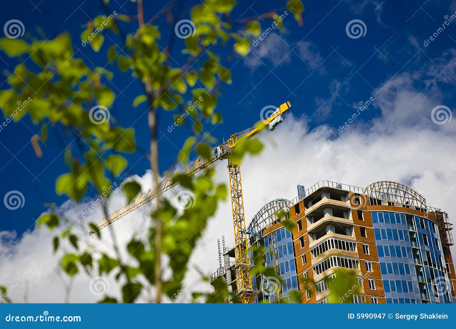 Green Tree and Growing Building Stock Image - Image of estate ...