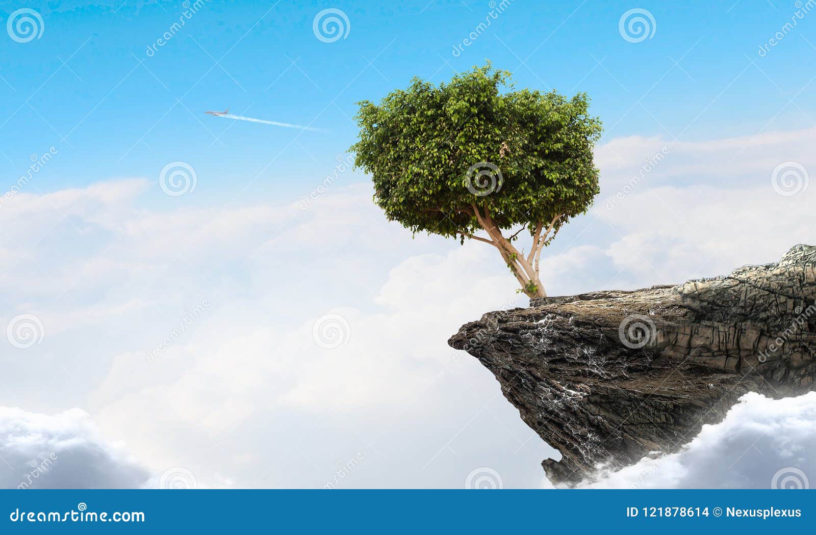 Lonely Tree on Rock Top. Mixed Media Stock Photo - Image of green, tree ...