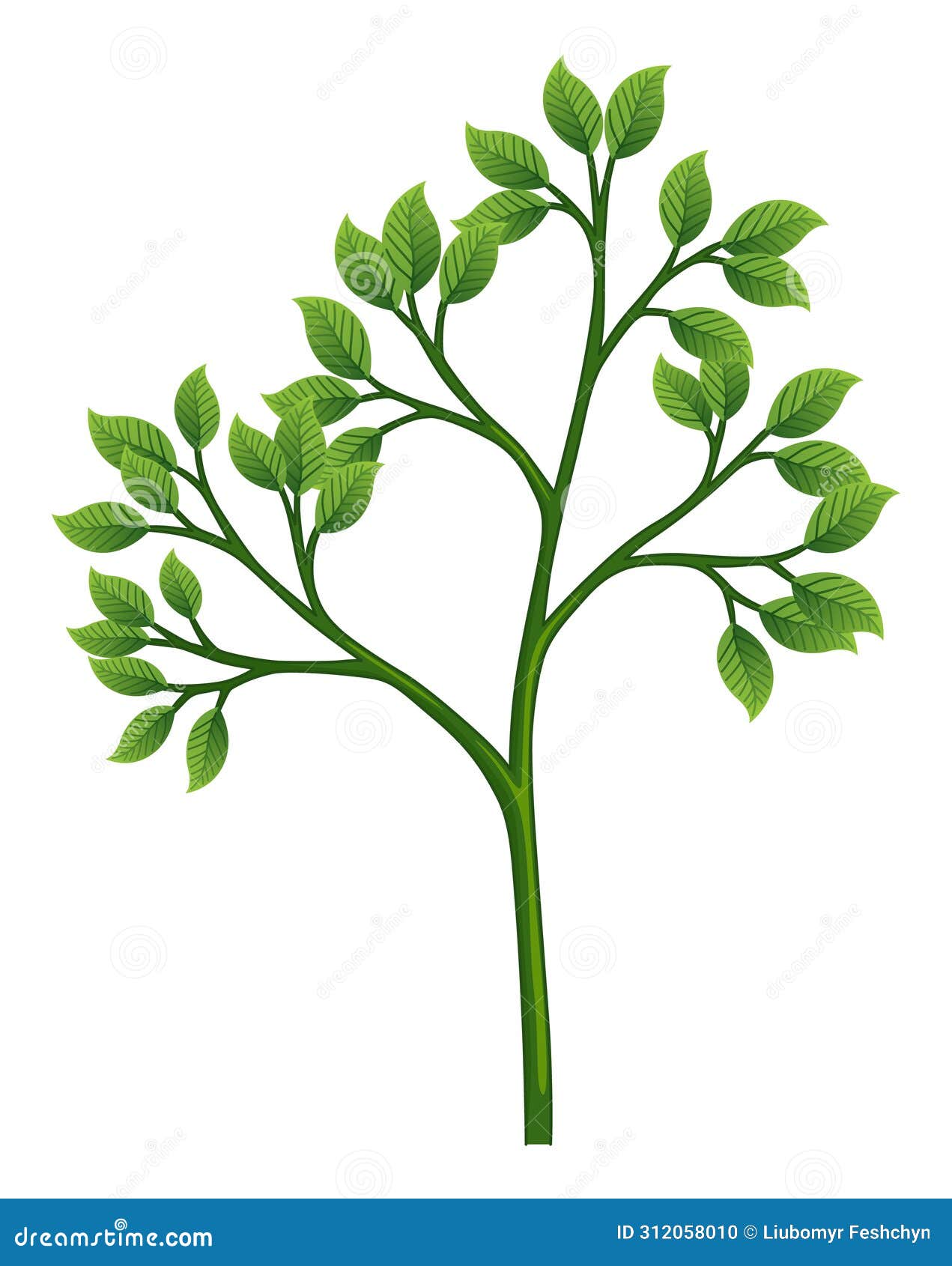 Green Tree Growth Eco Concept Stock Vector - Illustration of botanical ...