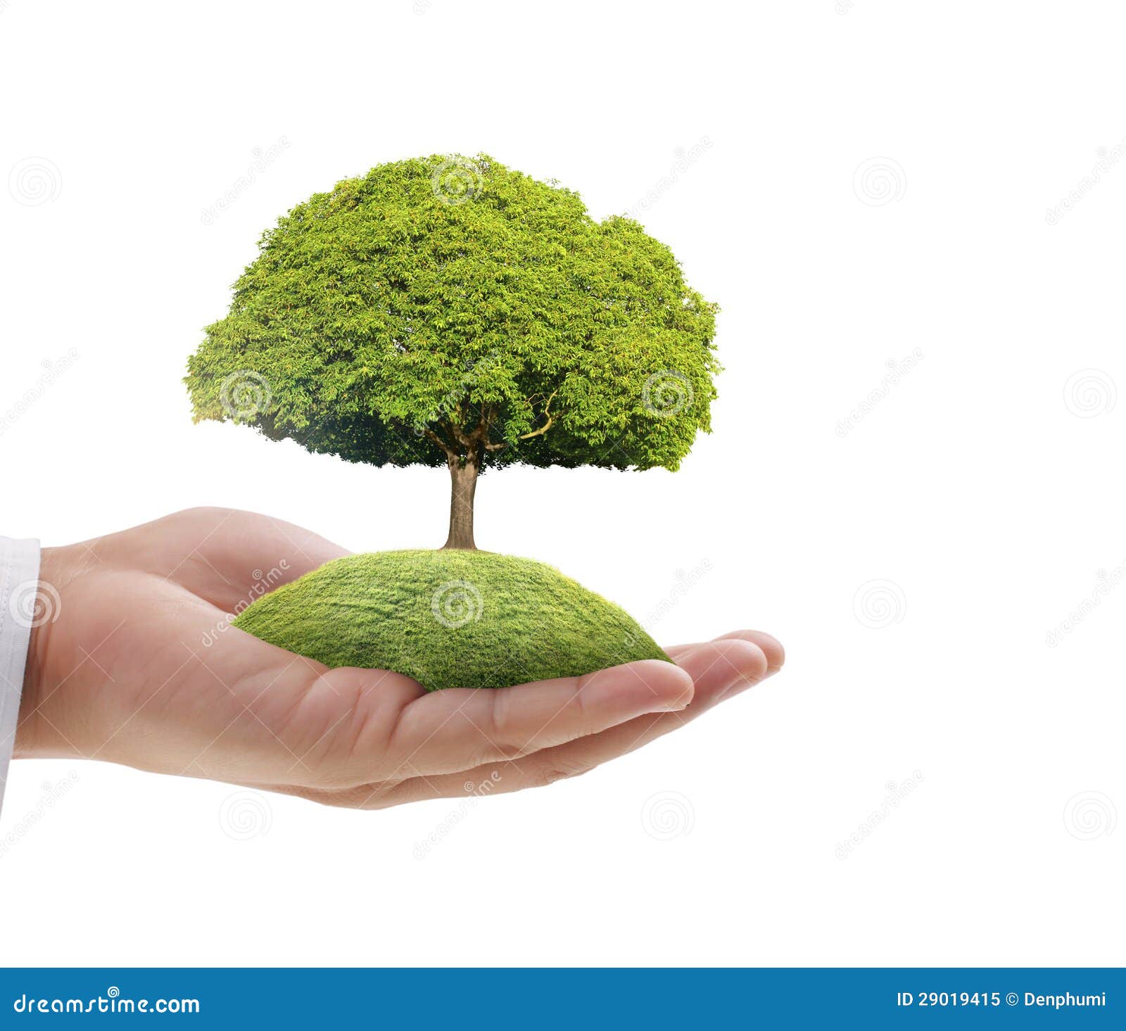 Green tree in hand stock image. Image of concept, gardening - 29019415
