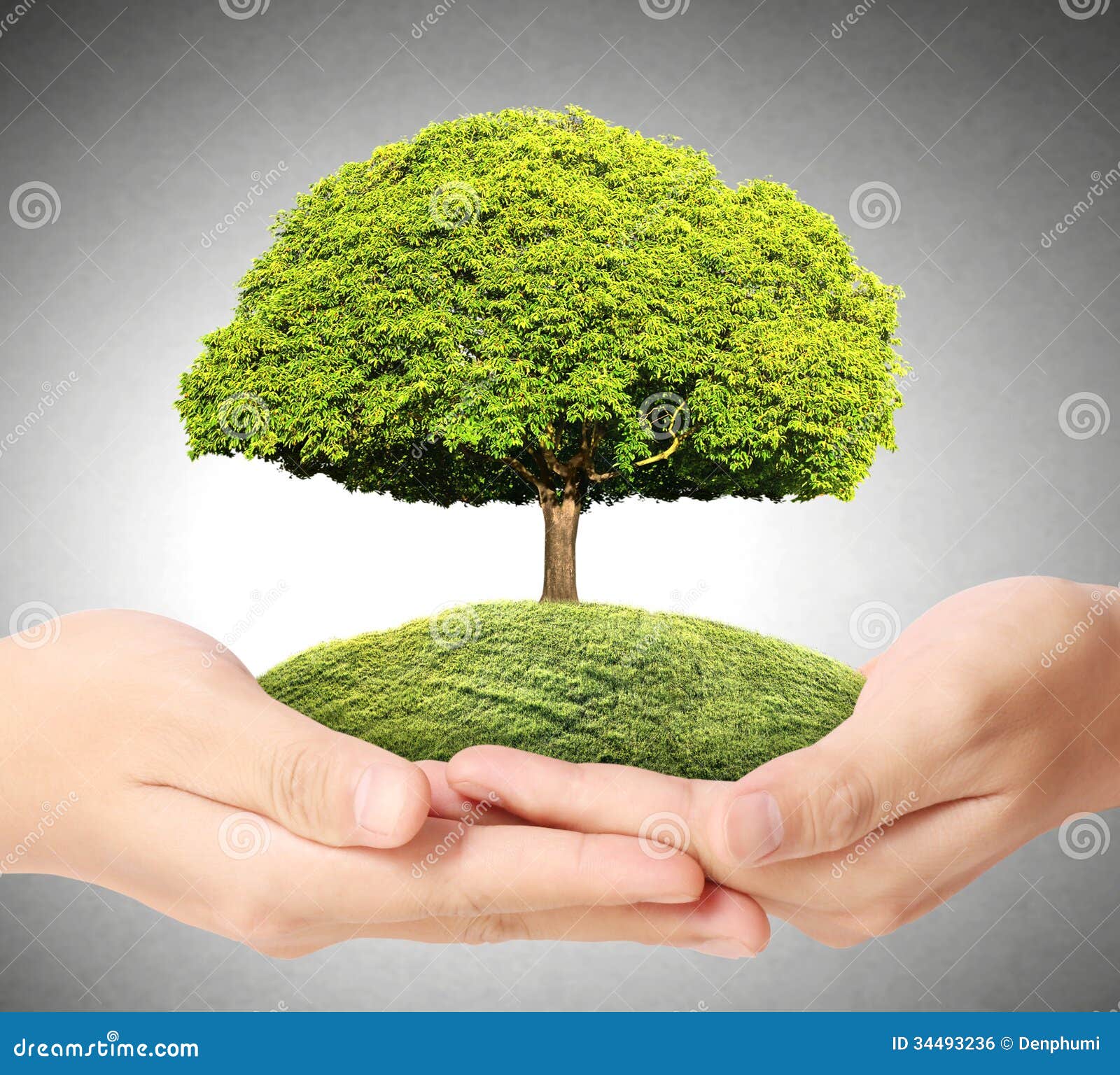 Green tree in hand stock photo. Image of healthy, earth - 34493236