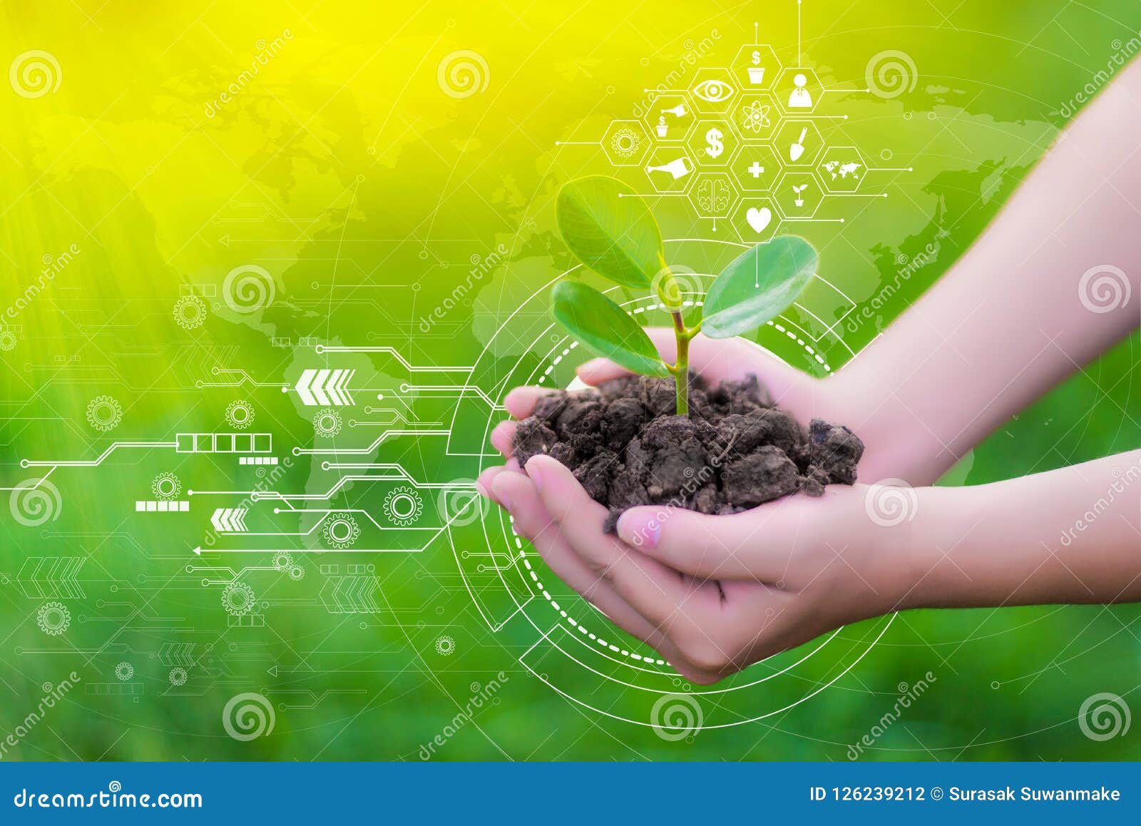 Green Tree in Hand or Love the Forest Love World. Stock Photo - Image ...