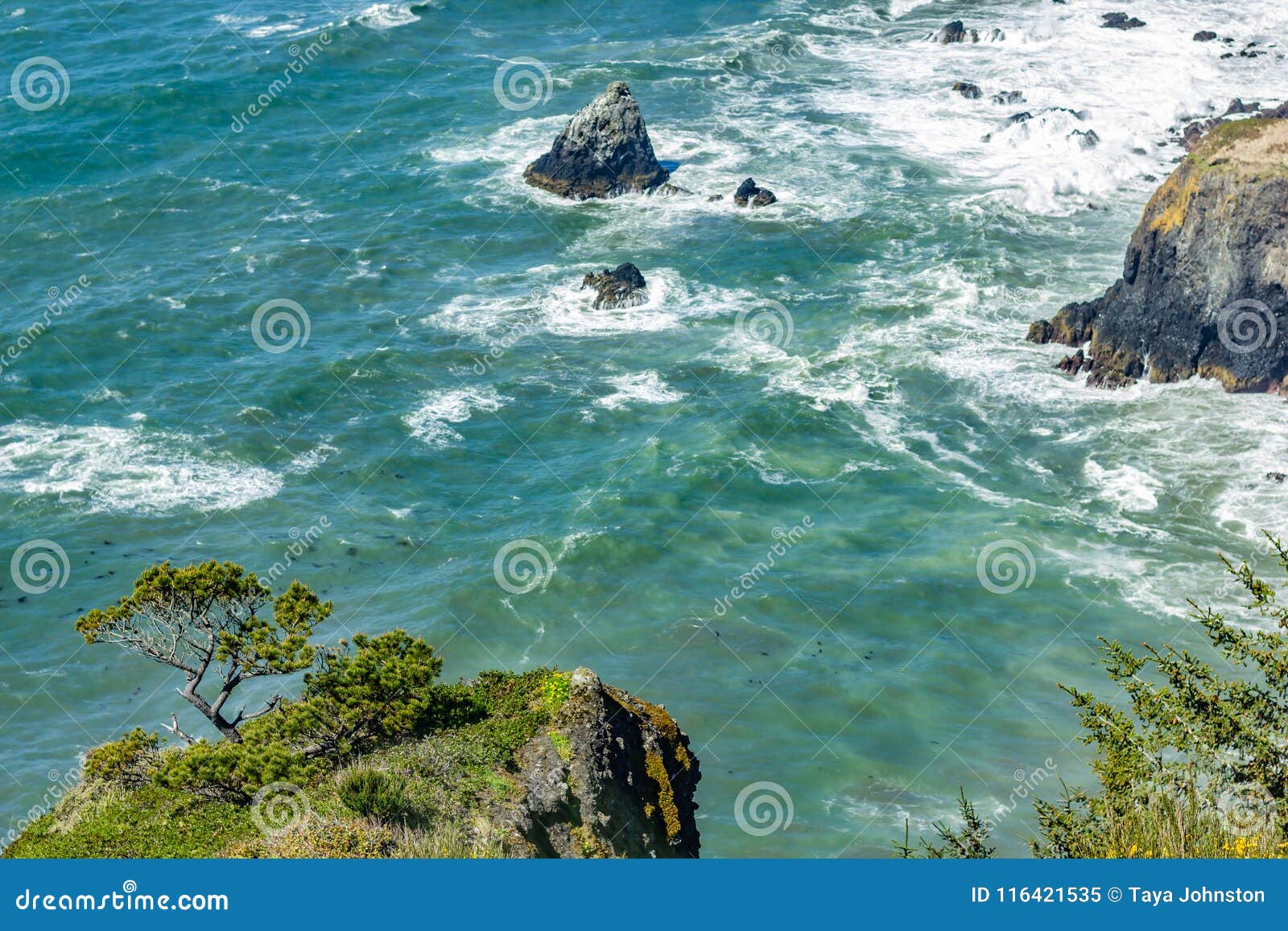 Green Tree Hanging Over Cliff Stock Image - Image of horizon, blue ...