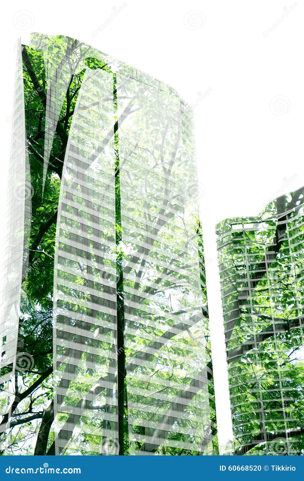 Green Tree in High Building Shadow. Stock Illustration - Illustration ...