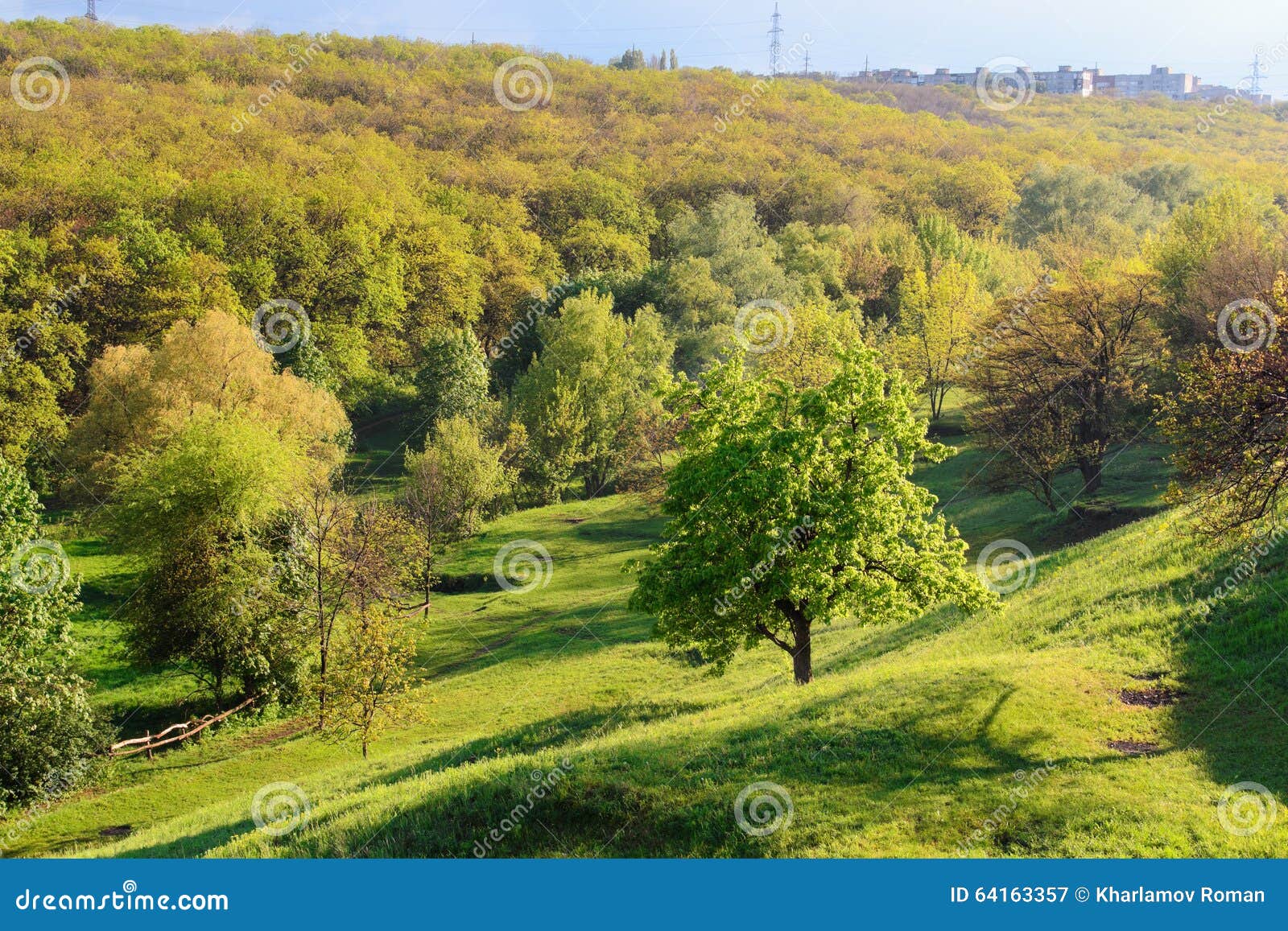 Green tree in hill stock image. Image of nature, rural - 64163357