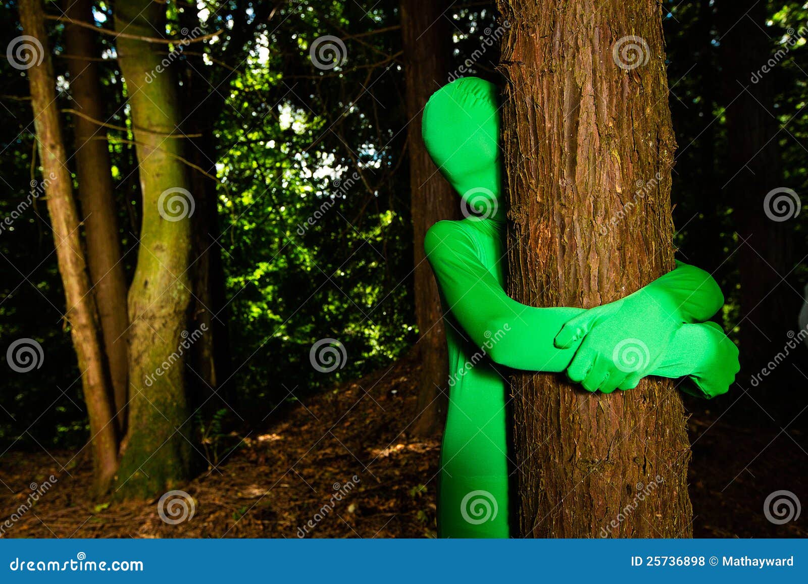 Green Tree Hugger stock photo. Image of unity, cultural - 25736898
