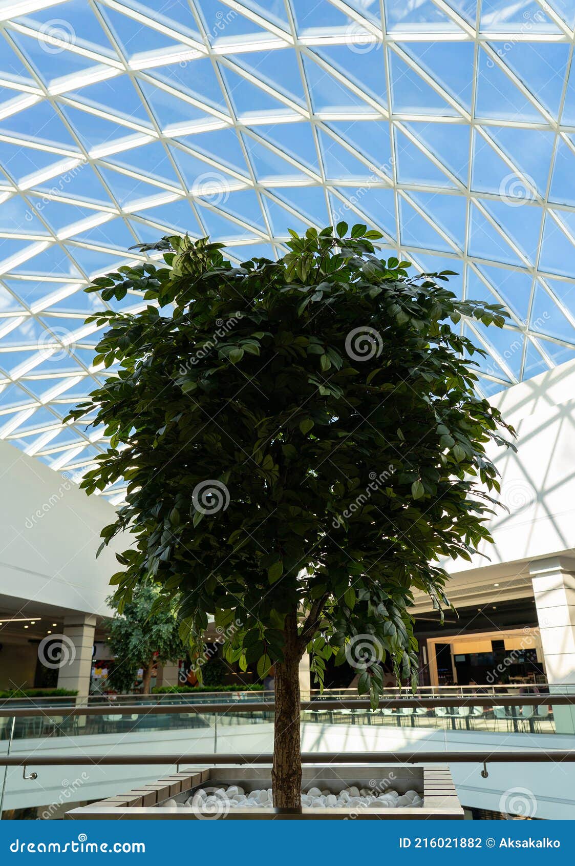 Green Tree Inside a Big Modern Shoping Mall Editorial Photography ...
