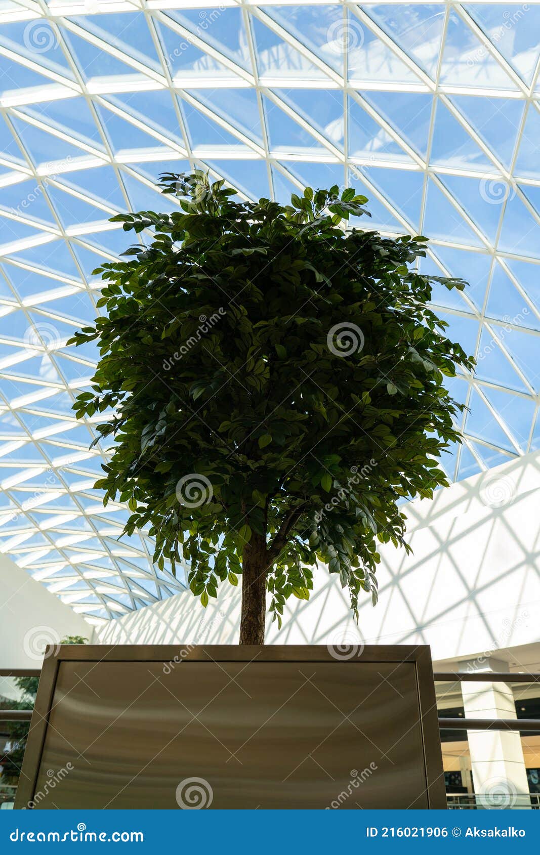 Green Tree Inside a Big Modern Shoping Mall Editorial Photo - Image of ...