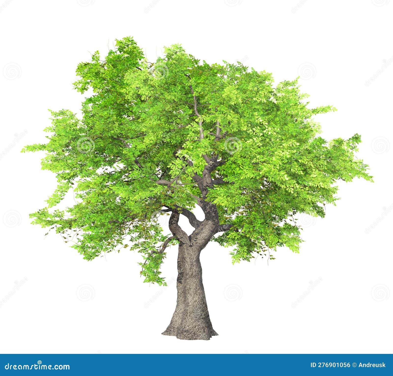 Green Tree Isolated on Transparent Background, 3D Illustration Stock ...