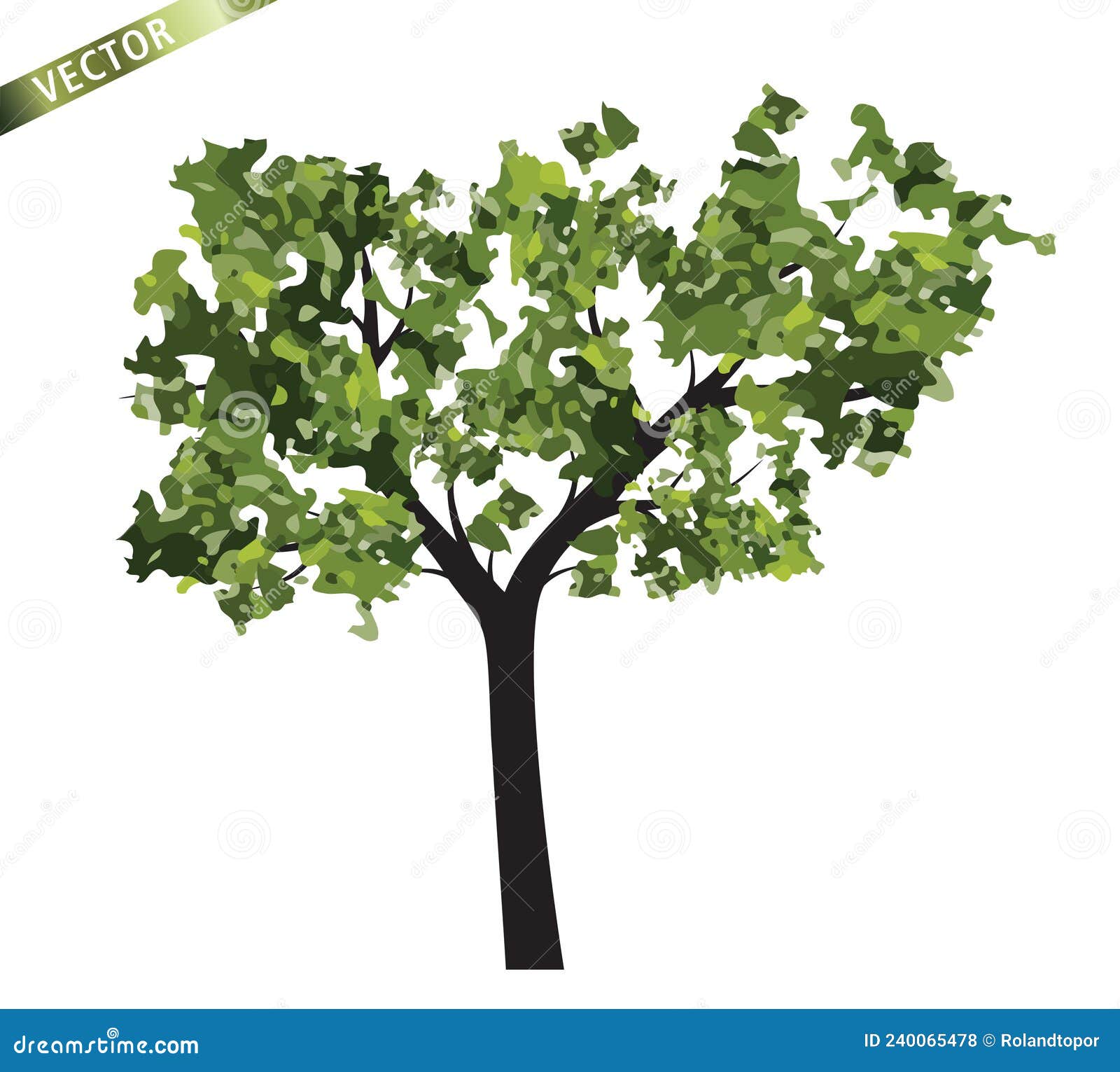 Green Tree Isolated on White Background. Vector Outline Illustration ...