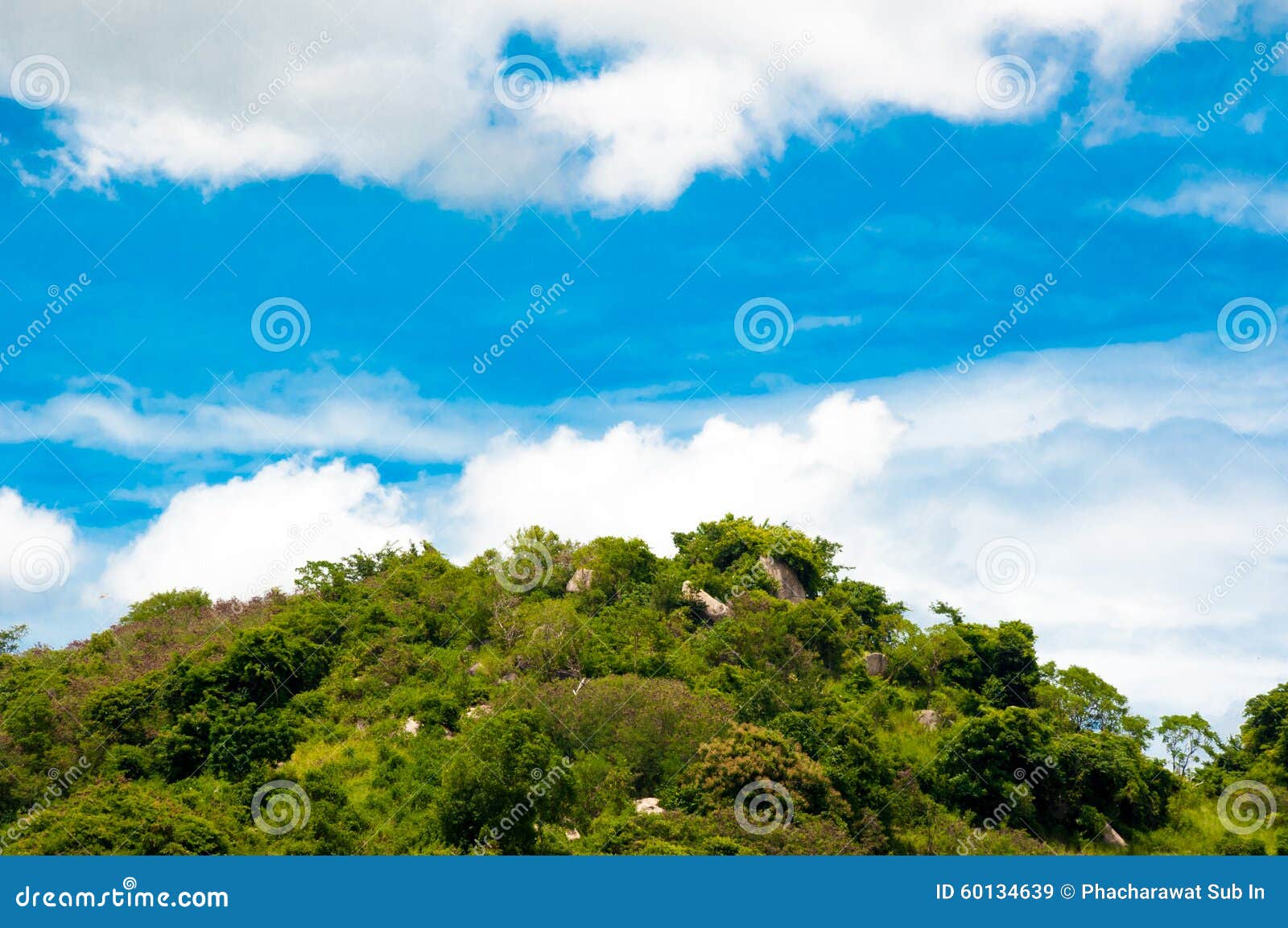 Green Tree Land with Clear Blue Sky on Day Noon Light Stock Image ...