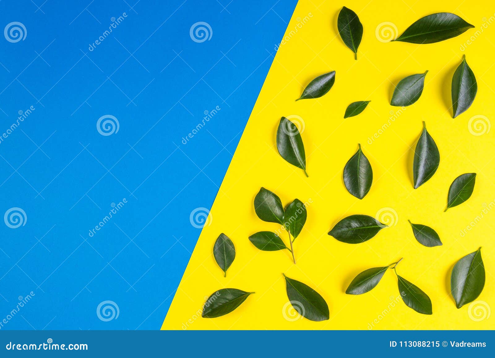 Green Tree Leaves Pattern on Yellow and Blue Background Stock Image ...