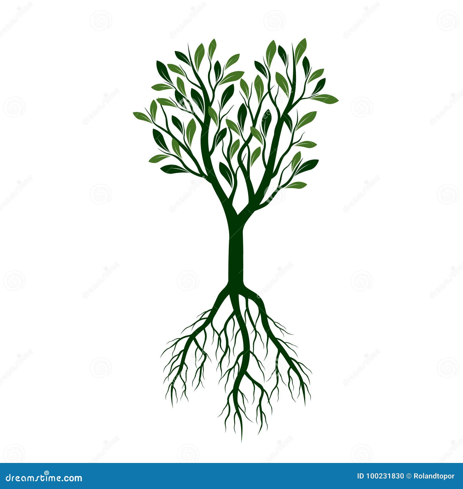 Green Tree with Leaves and Roots. Stock Vector - Illustration of ...
