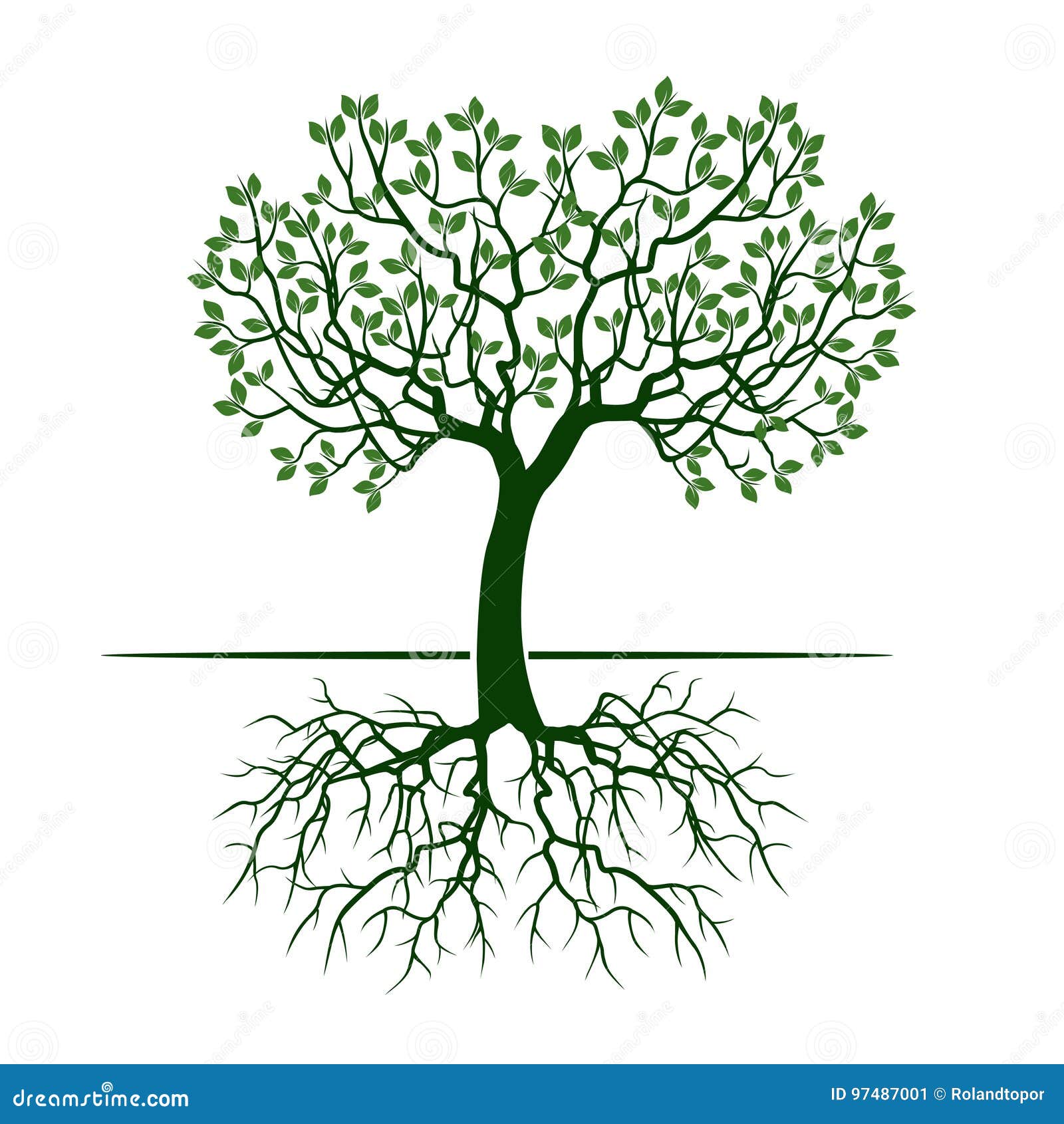 Green Tree with Leaves and Roots. Stock Vector - Illustration of garden ...