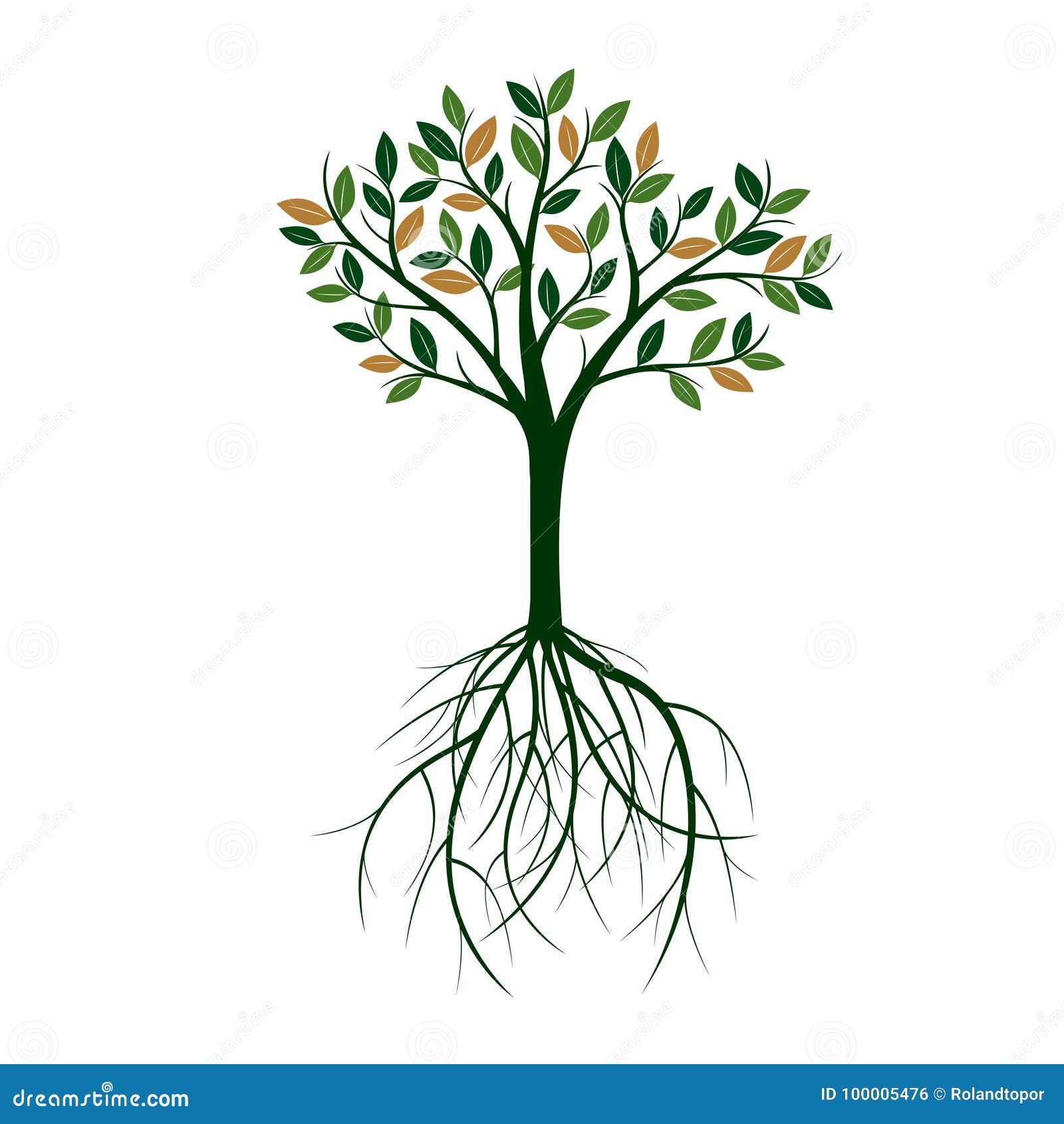 Green Tree with Leaves and Roots. Stock Vector - Illustration of label ...