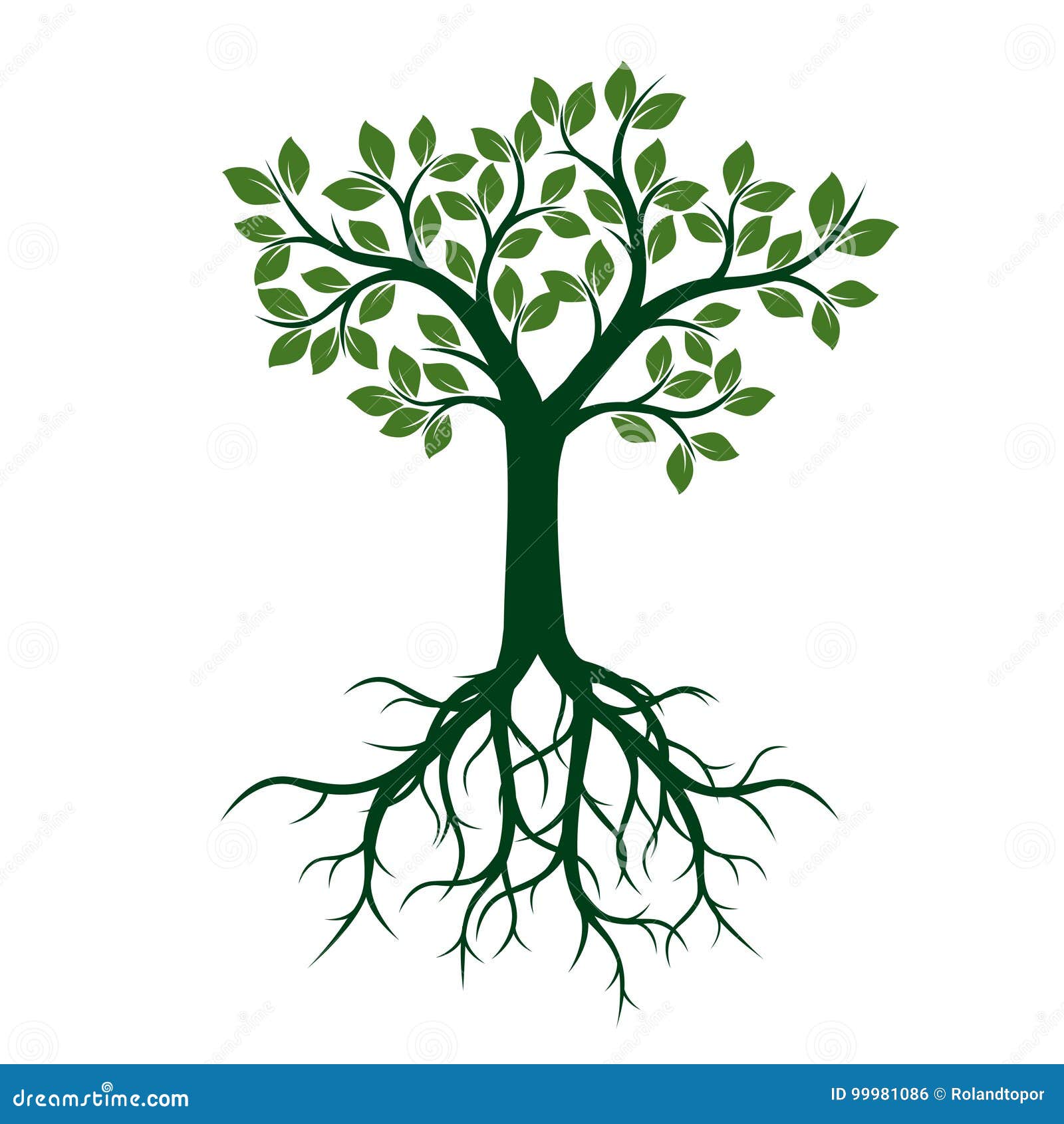 Pencil Drawing Of Tree Roots