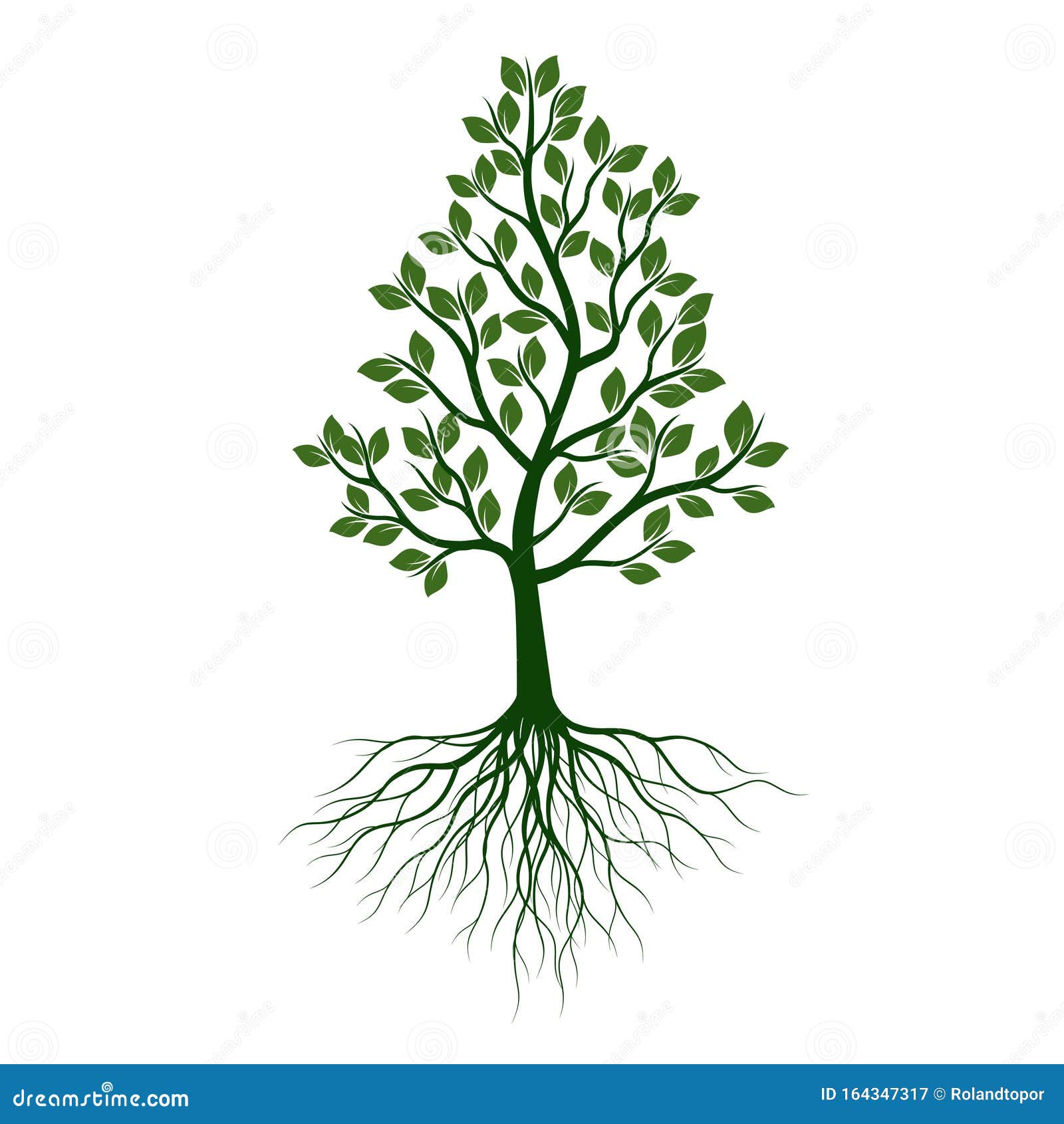 Green Tree with Leaves and Roots. Vector Outline Illustration Stock ...