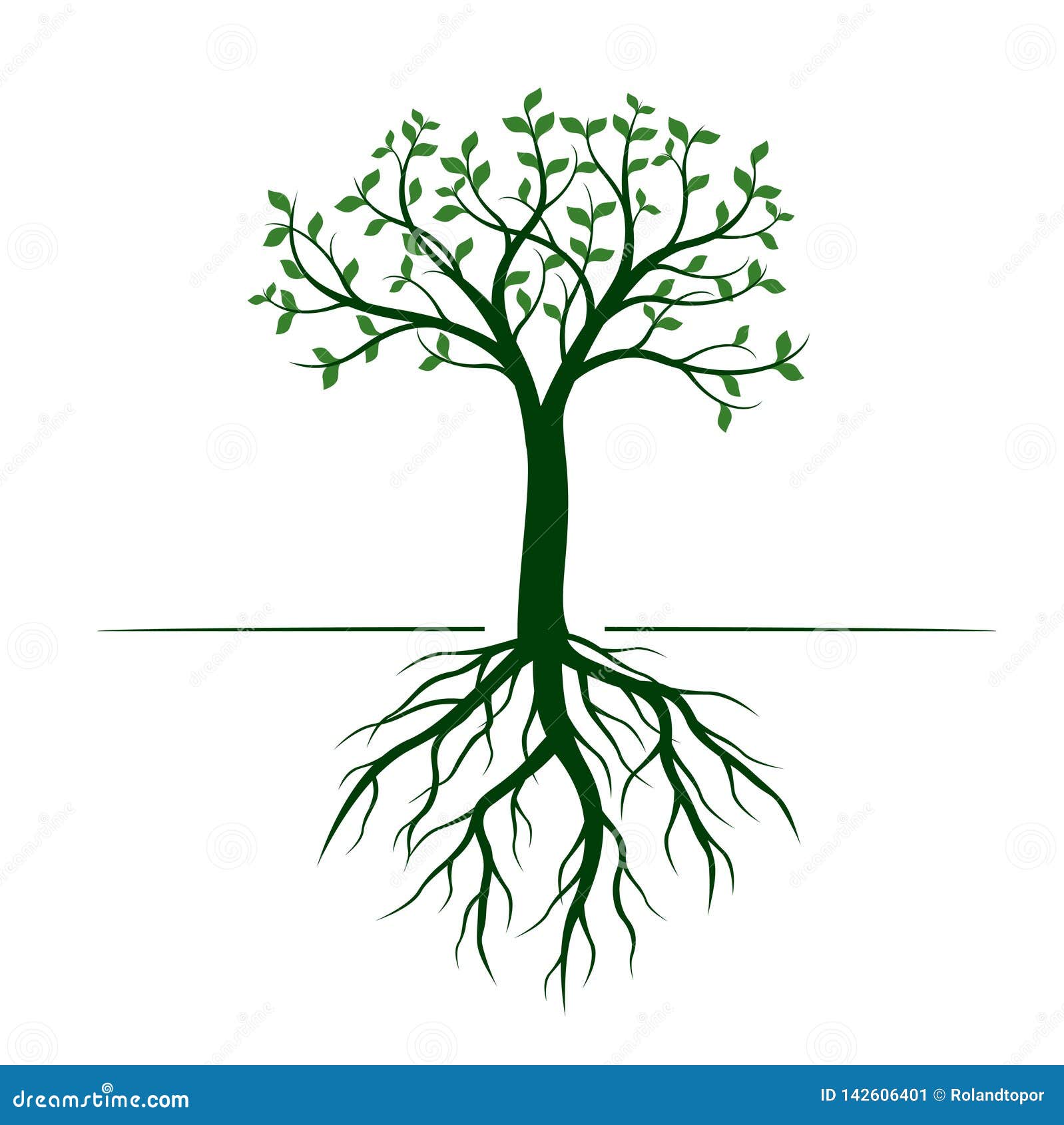 Green Tree with Leaves and Roots on White Background. Vector ...