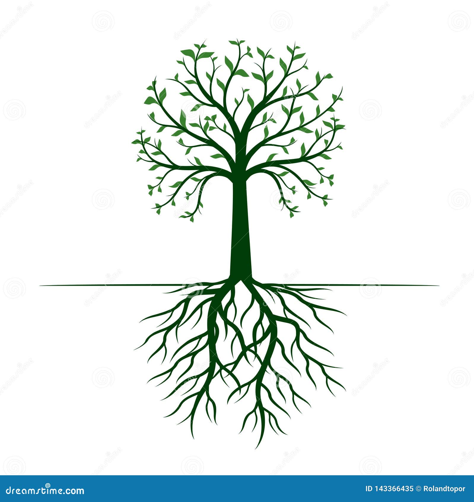 Green Tree with Leaves and Roots on White Background. Vector ...