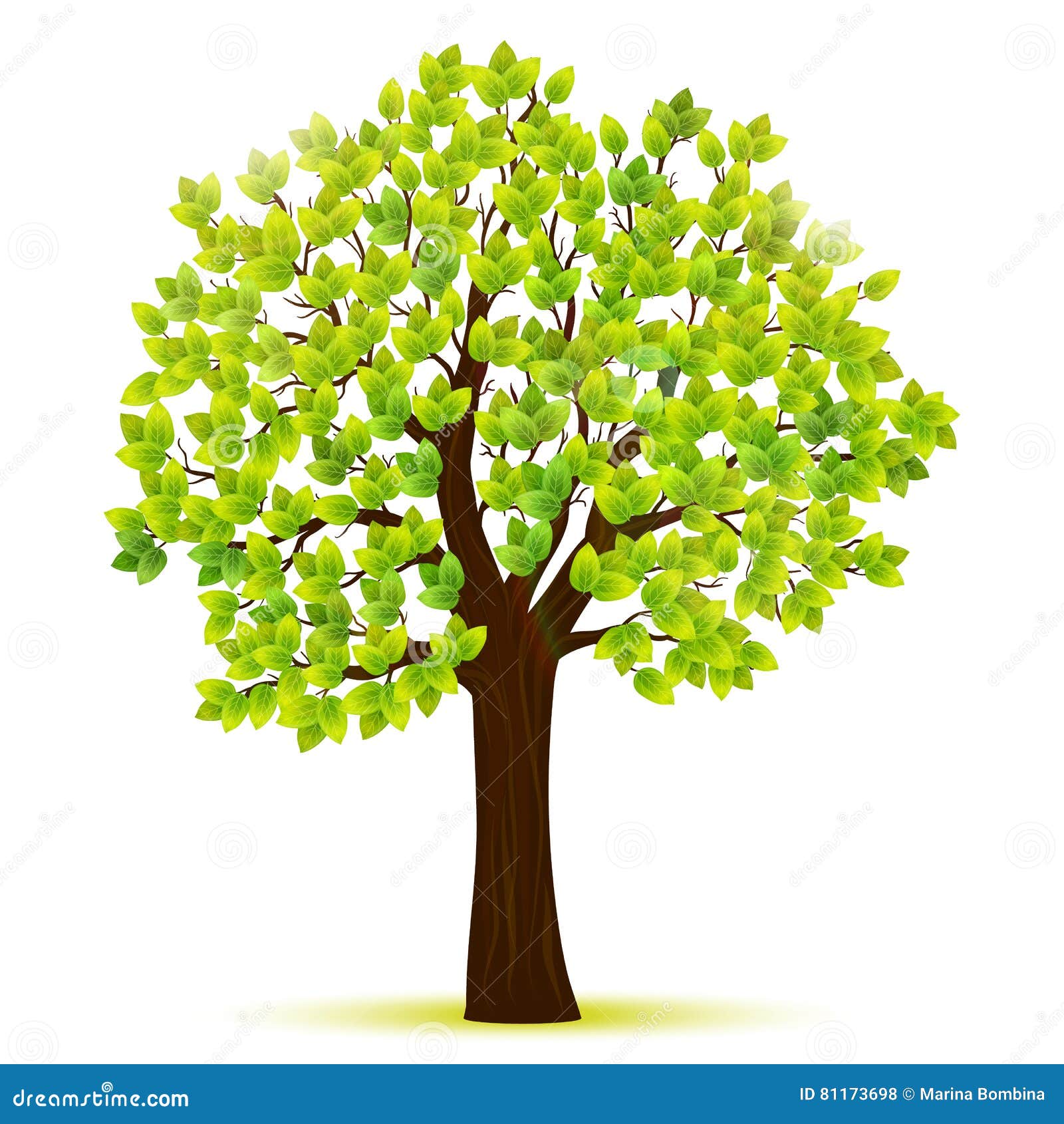 Green Tree with Leaves Vector Stock Vector - Illustration of branch ...