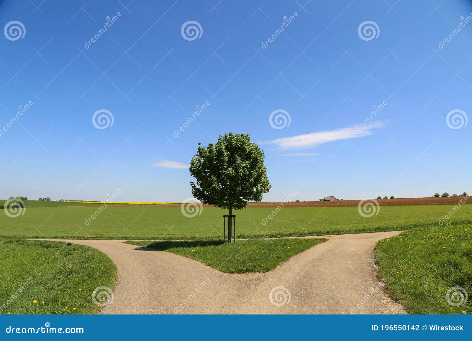 Different Roads Stock Image | CartoonDealer.com #22493365