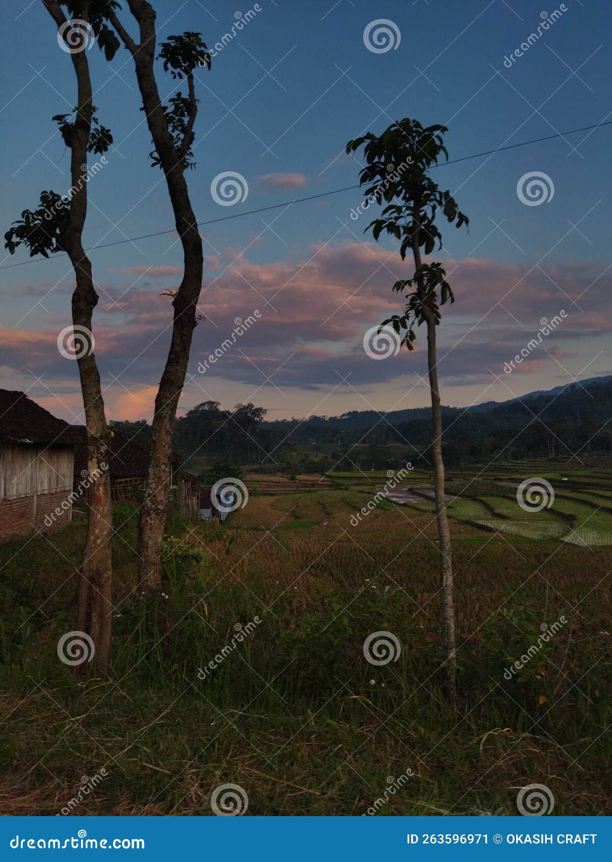 Green Tree Mountain Rice Fields Stock Image - Image of green, sunset ...