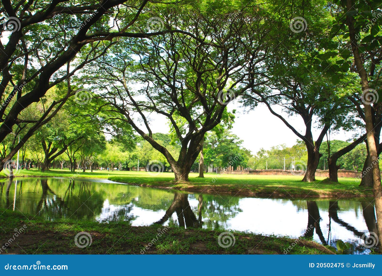 Green tree on nature park stock image. Image of outdoor - 20502475