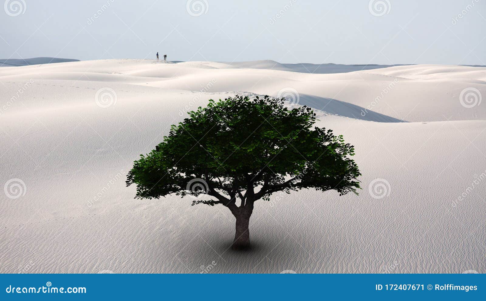 Green tree oasis stock illustration. Illustration of journey - 172407671