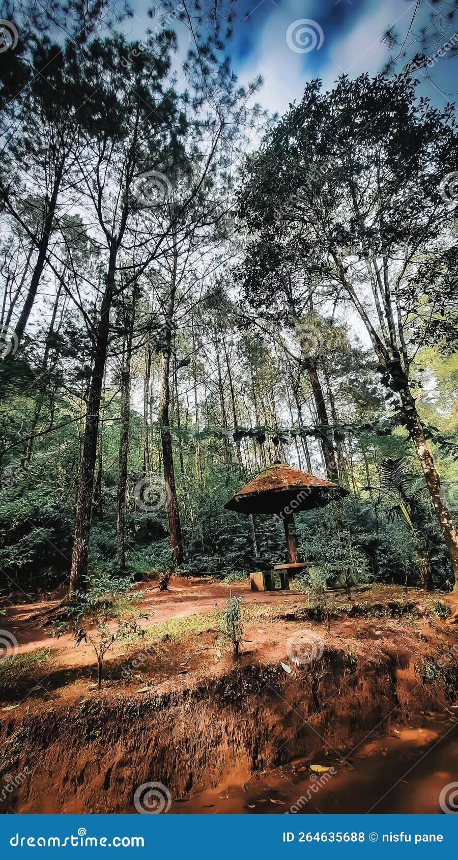 Green Tree for Place Relax. Stock Photo - Image of wilderness, autumn ...