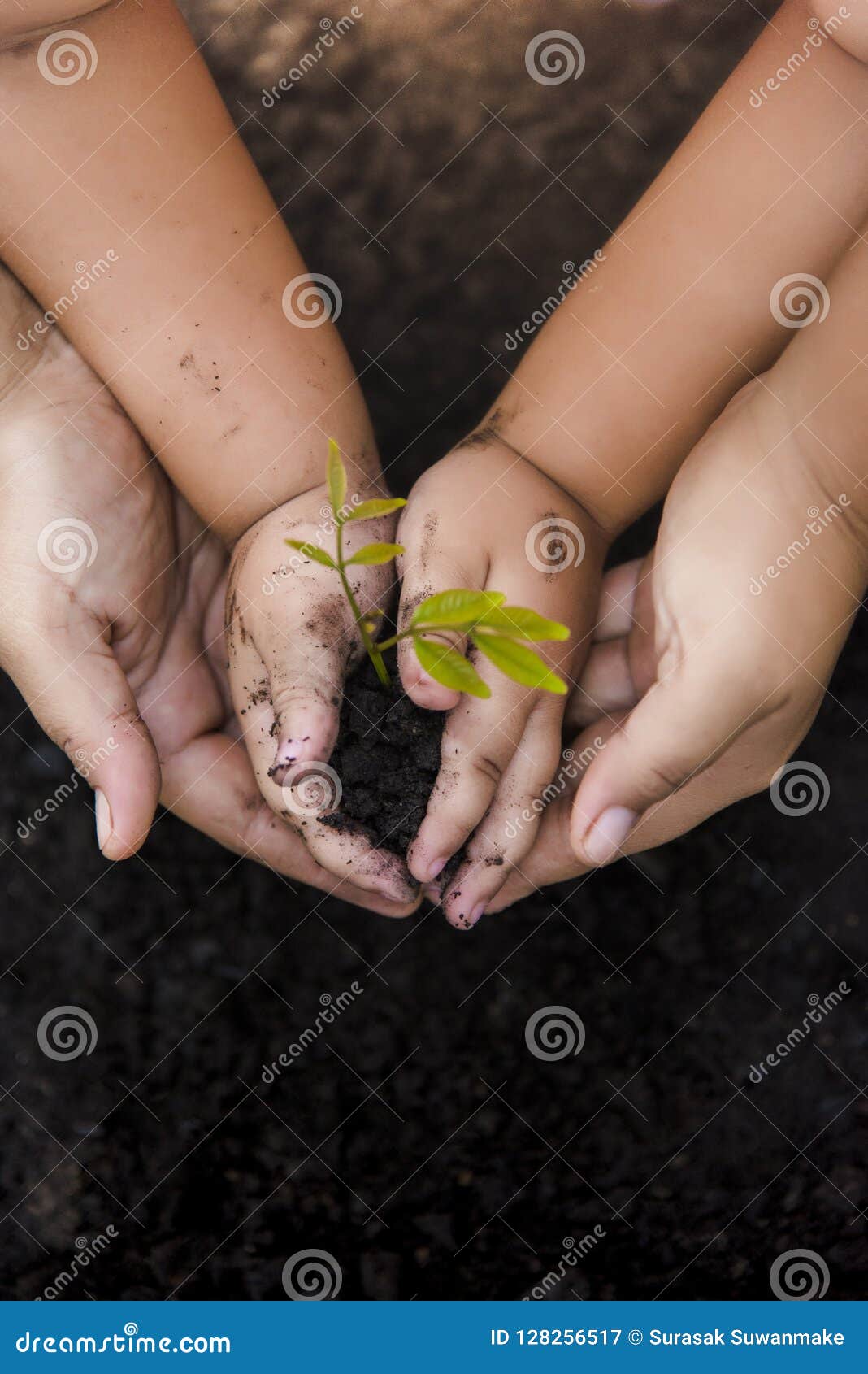 Green Tree Planting World Green. Trees with Money, Saving Money and ...