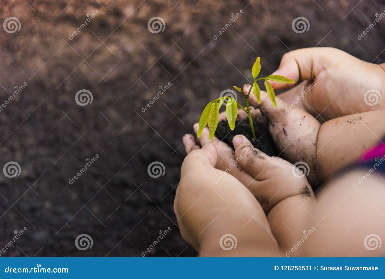 Green Tree Planting World Green Trees with Money, Saving Money and ...