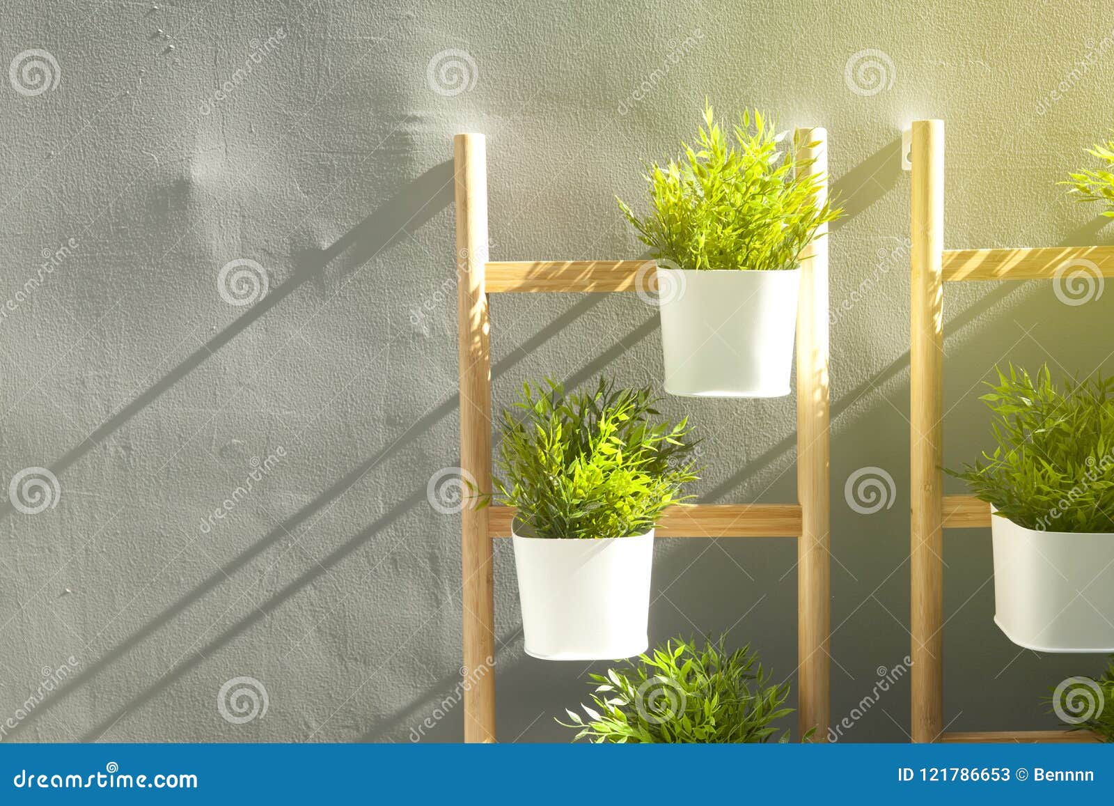 Green Tree Pots Hanging on Wall Stock Image - Image of wall, bright ...