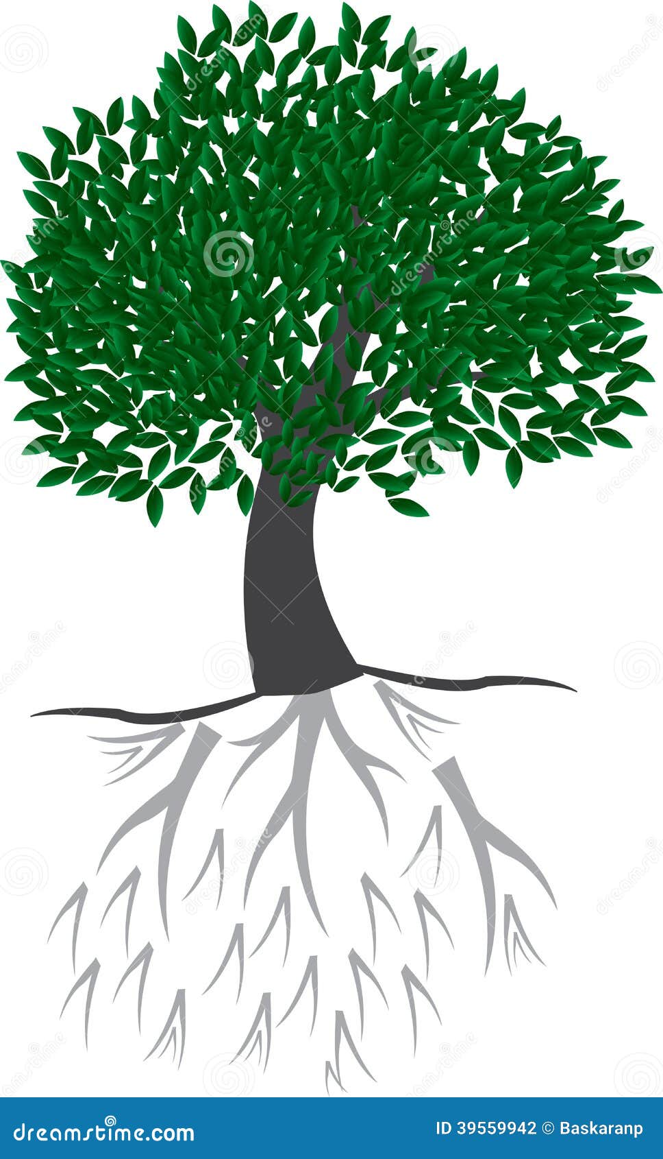 Green Tree with Root stock vector. Illustration of forest - 39559942