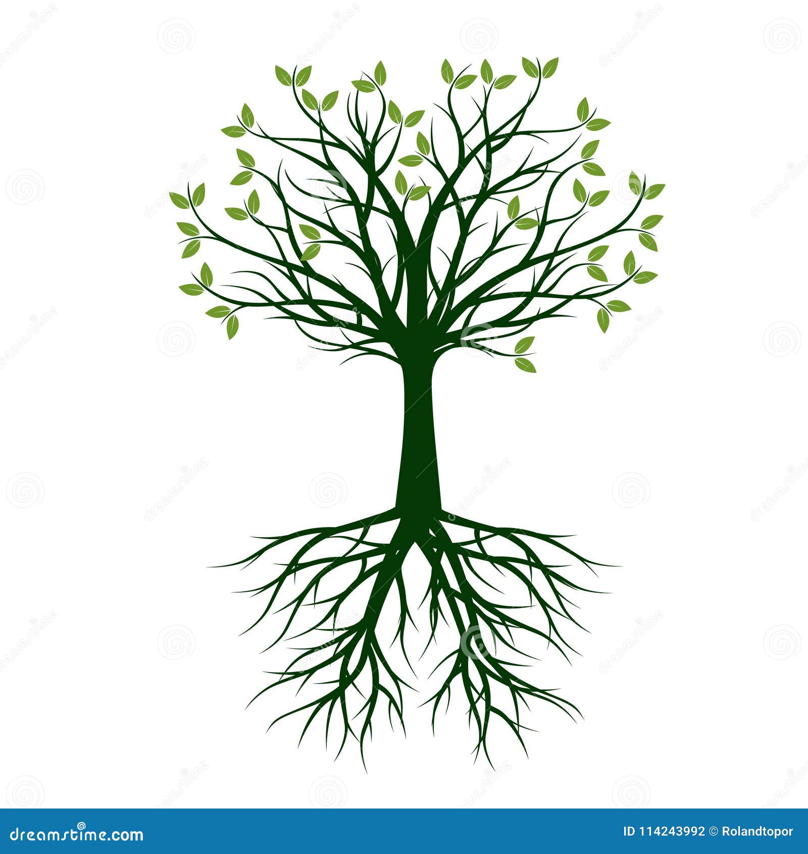 Green Tree with Root. Vector Illustration Stock Illustration ...